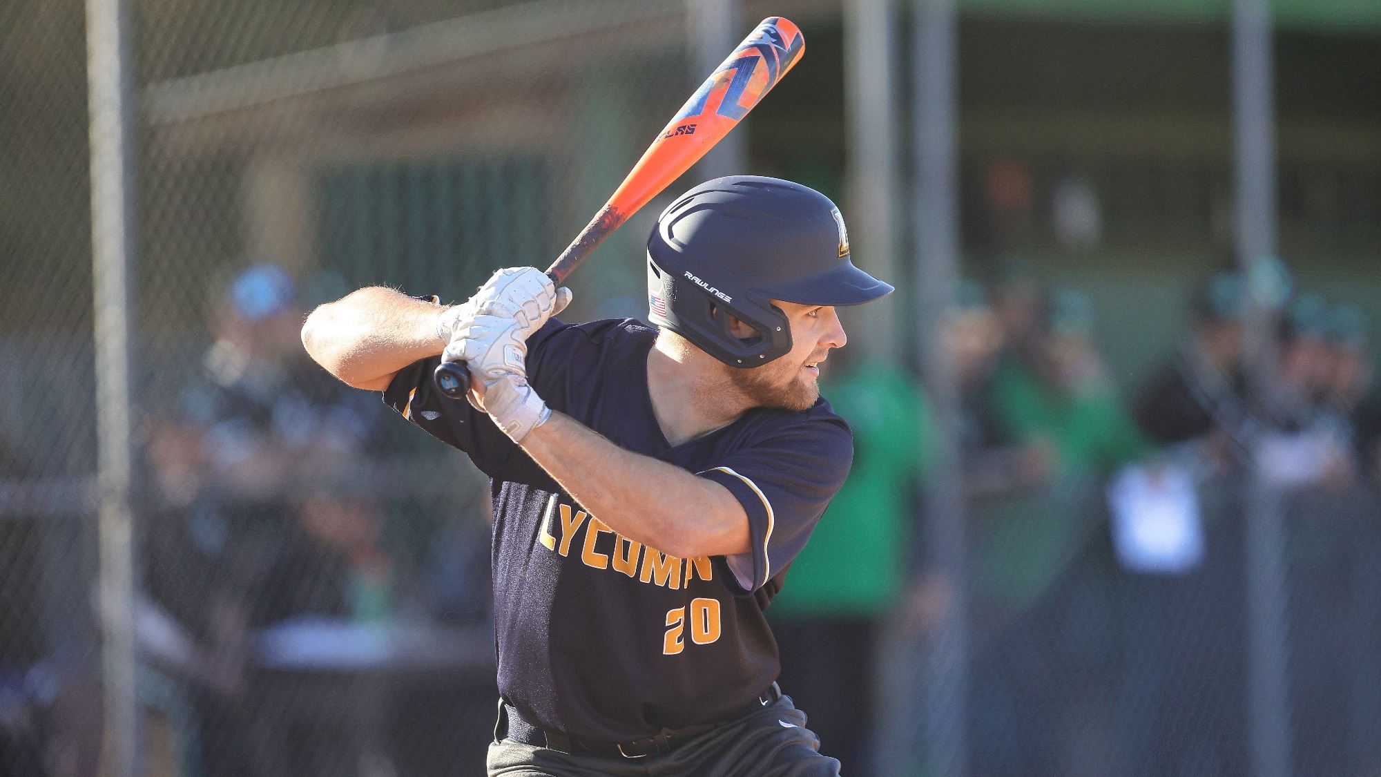 Jake Schilling - 2024 - Baseball - Lycoming College Athletics