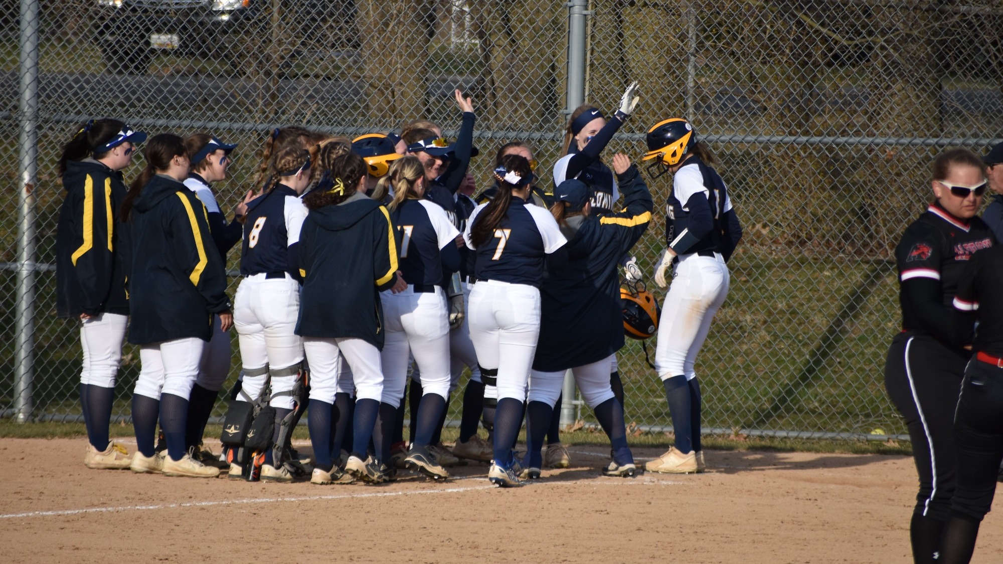 Warrior pitchers shut down Albright in doubledip - Lycoming College ...