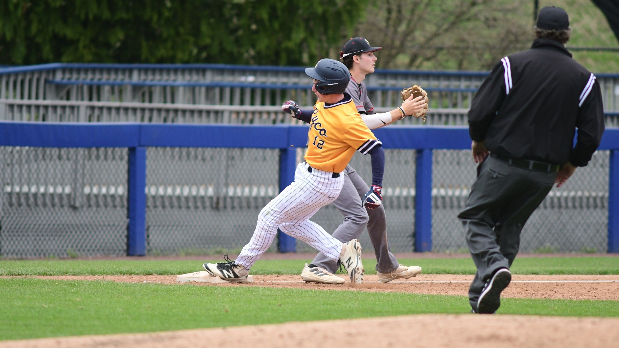 Zachary Pleska - 2024 - Baseball - Lycoming College Athletics