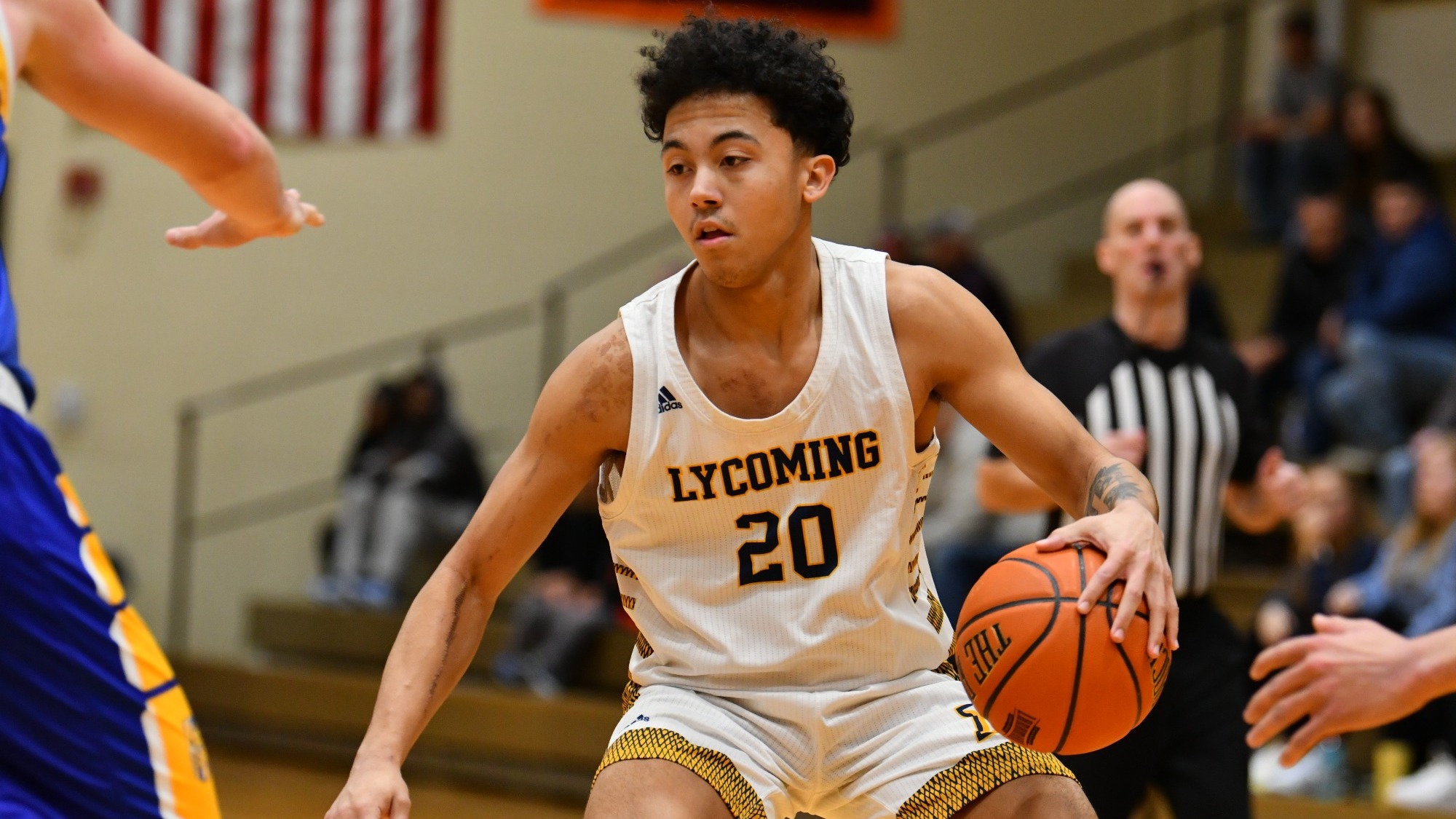 Four Warriors in double figures at Moravian - Lycoming College Athletics