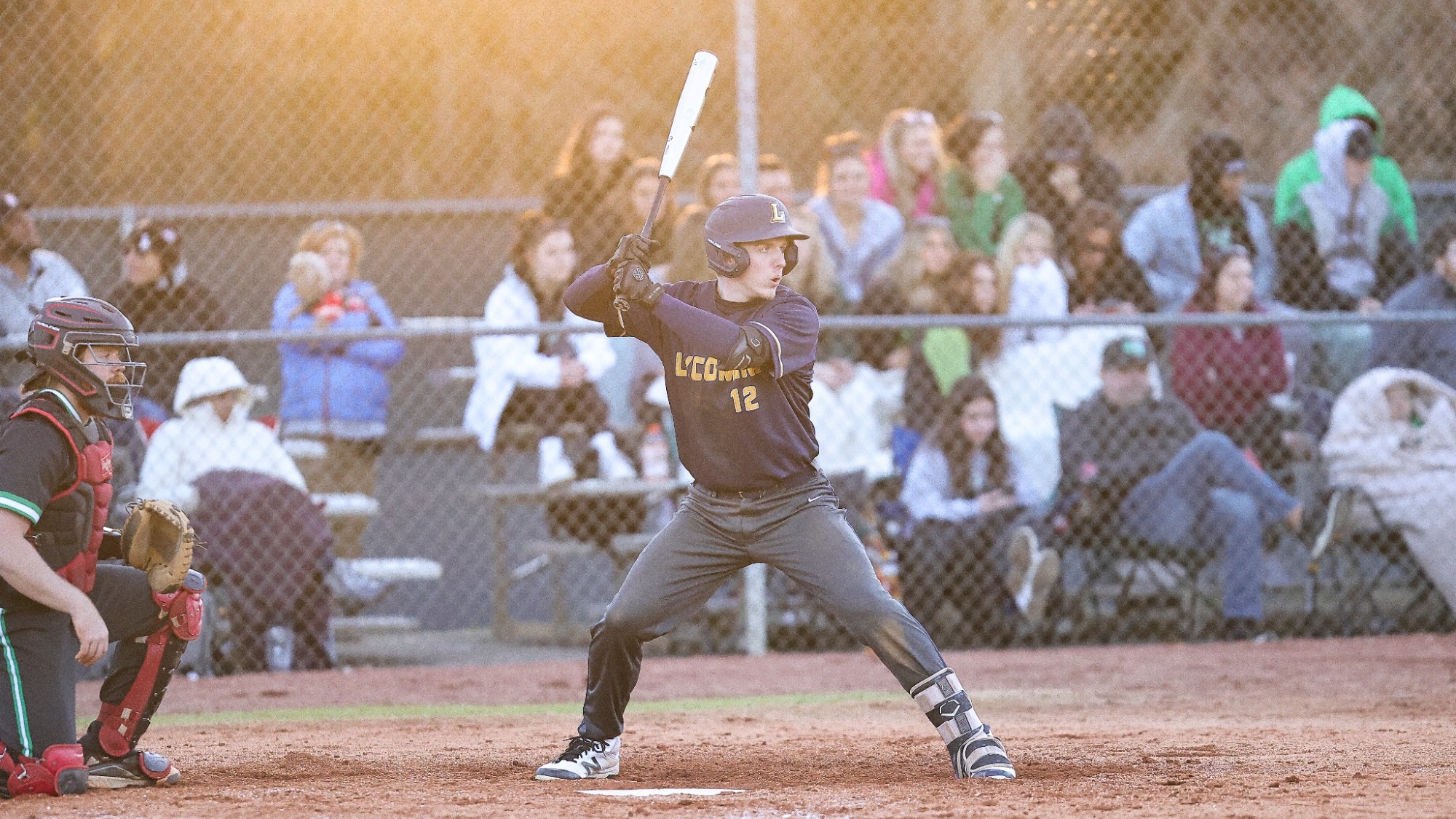 Zachary Pleska - 2024 - Baseball - Lycoming College Athletics