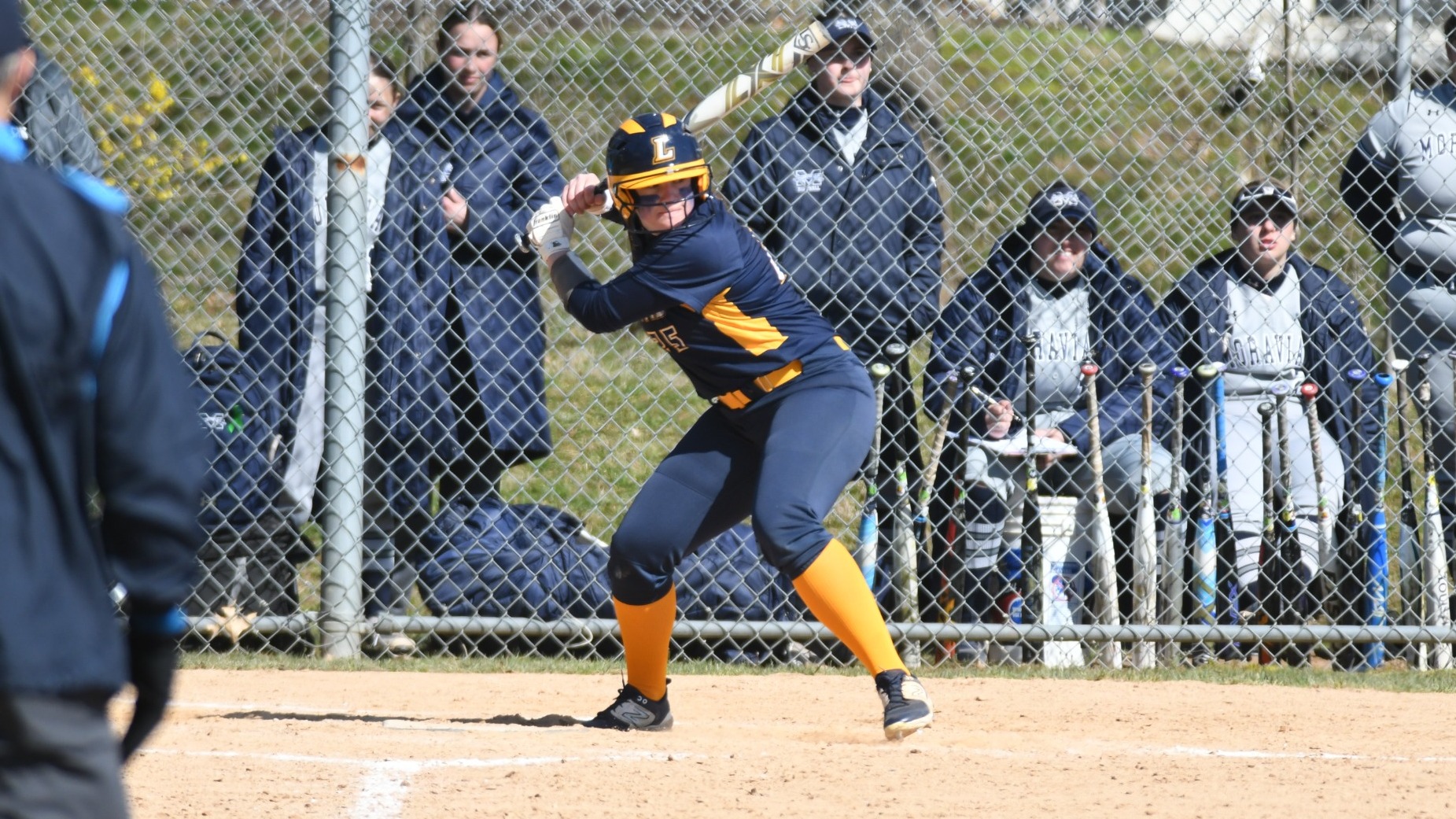Segraves’ throw saves split at Etown - Lycoming College Athletics