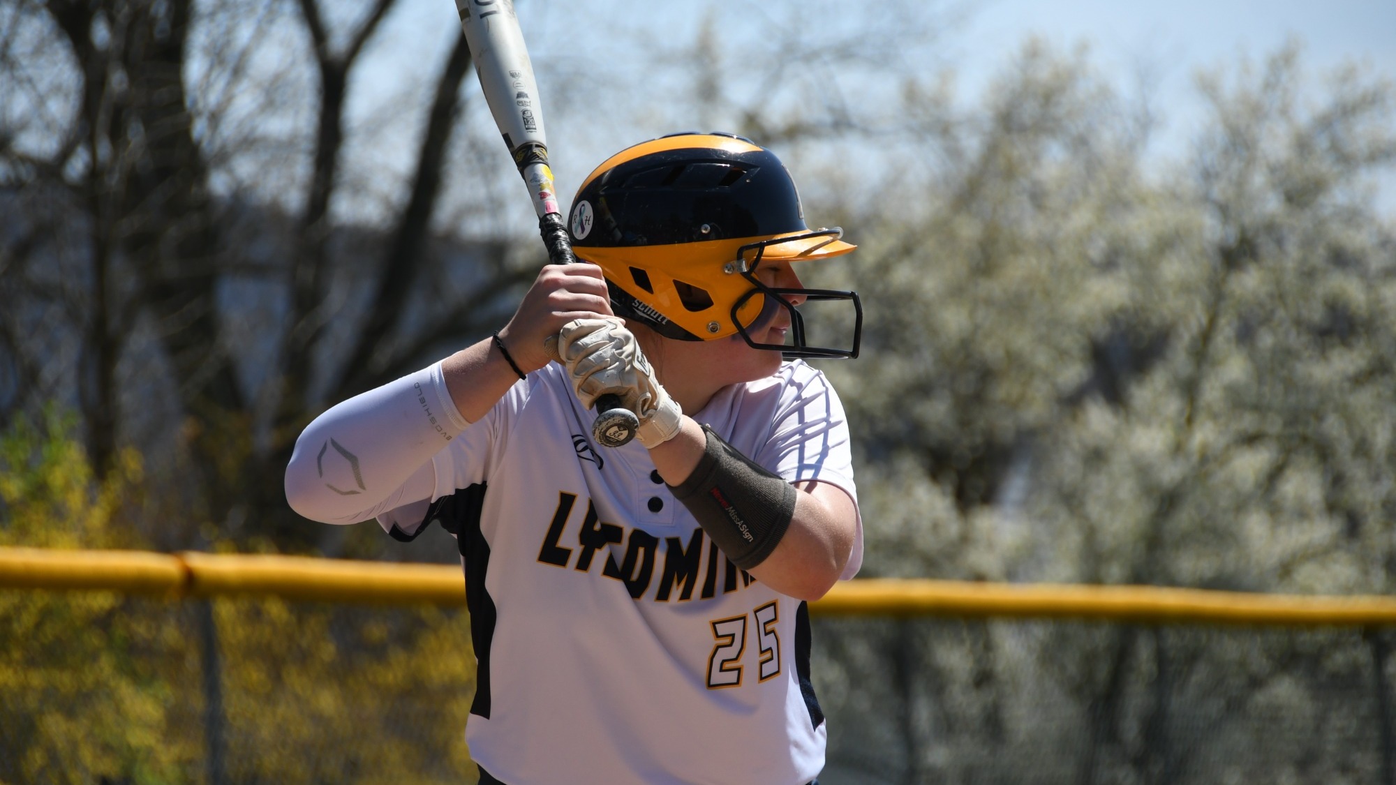 Segraves homers in Landmark Conference Championship opener - Lycoming ...