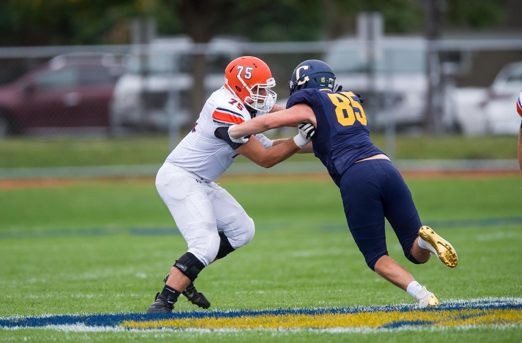 Brant Newman - Football - Macalester College Athletics