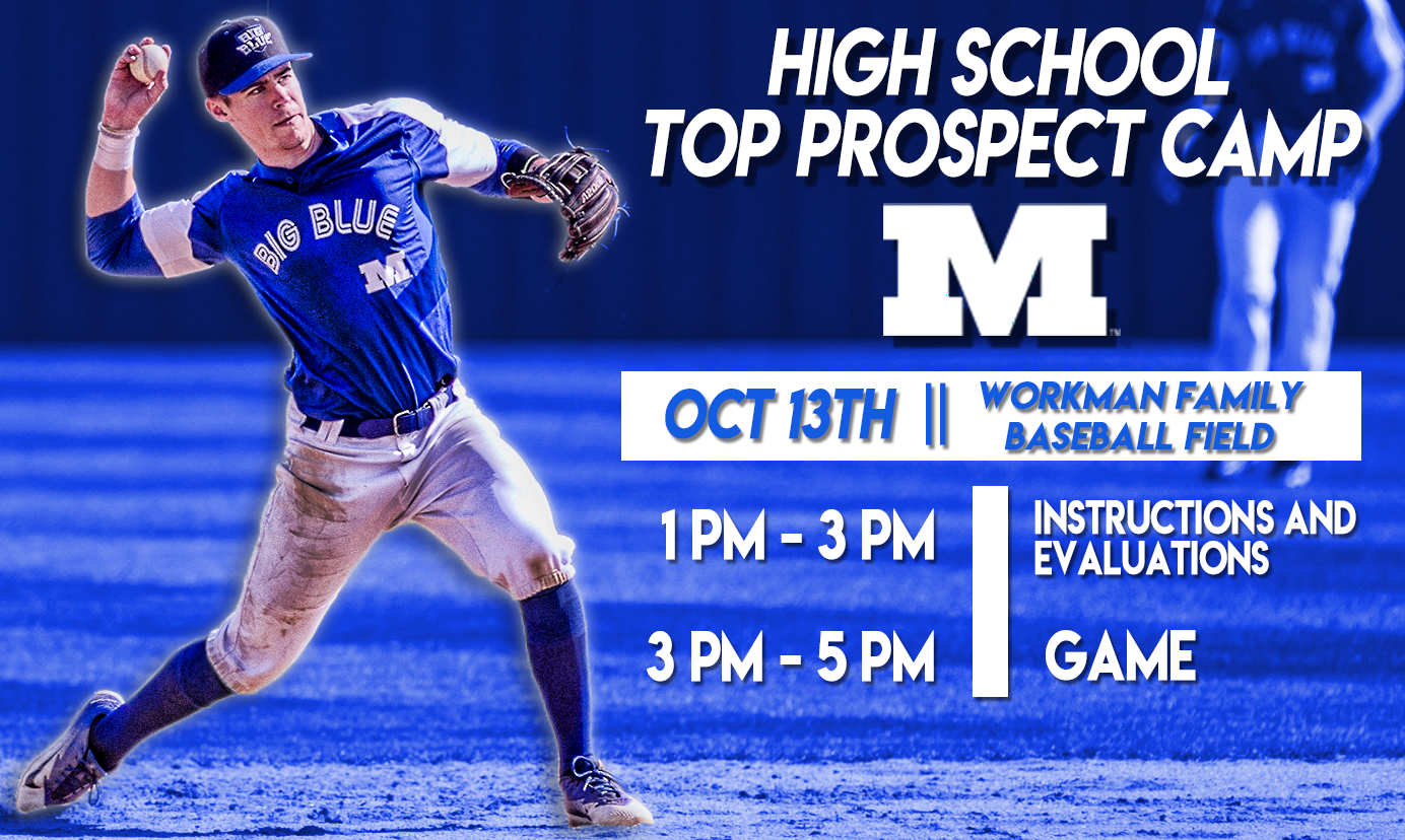 Millikin Baseball to Hold High School Top Prospect Camp - Millikin ...