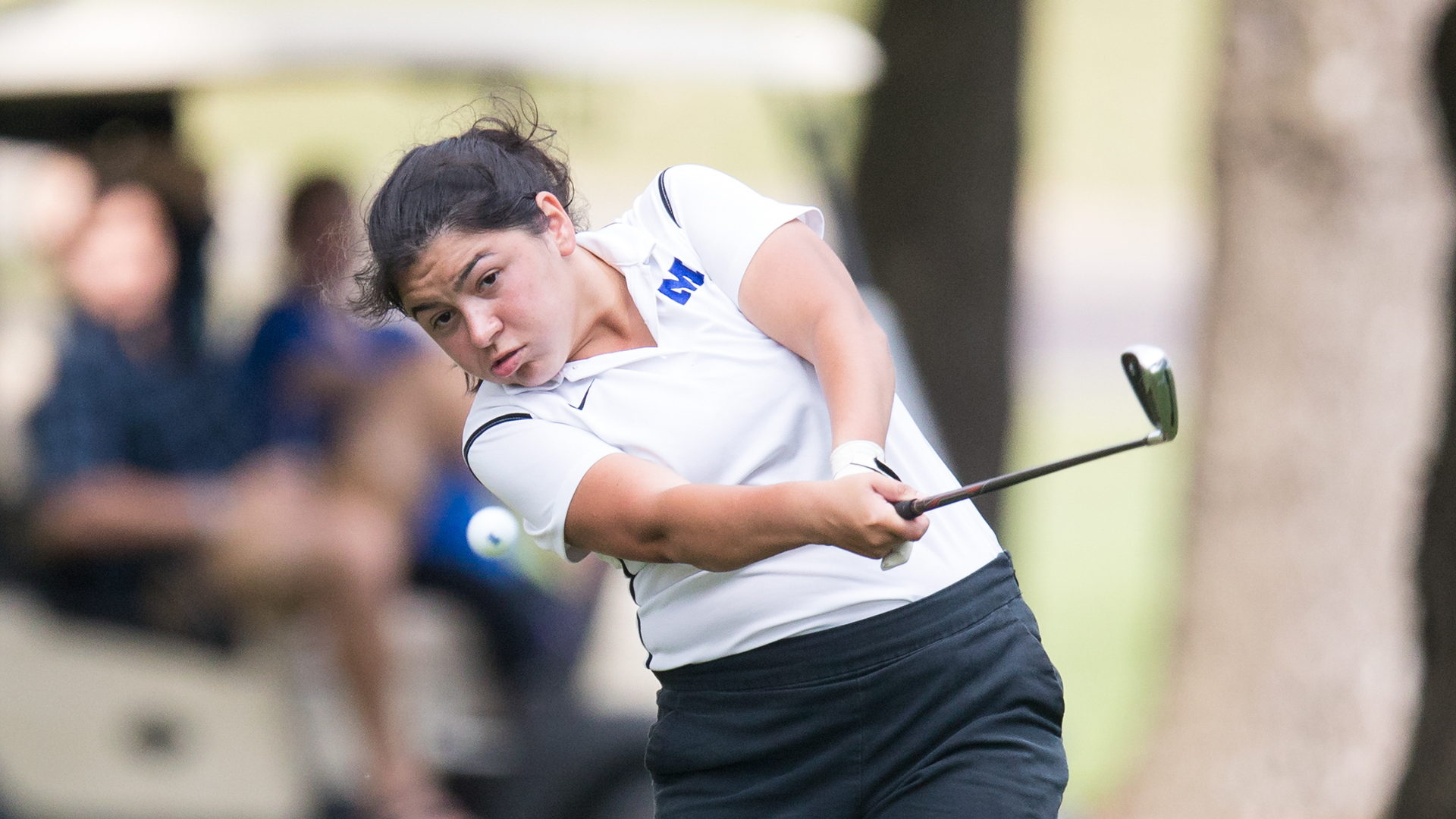 Big Blue Golfers Fourth After First Round of CCIW Championships ...