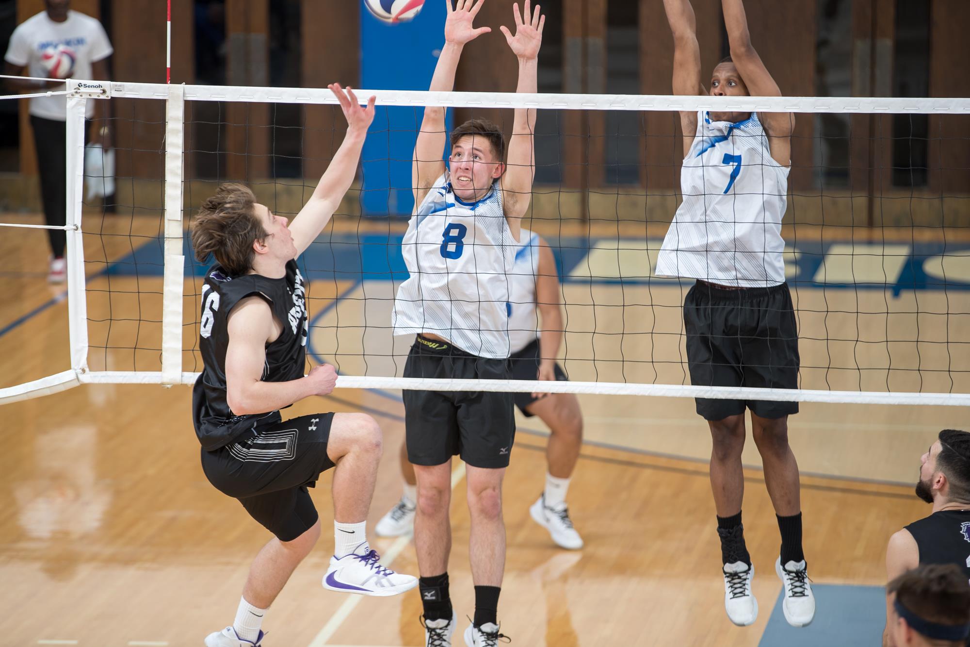 Robbie Maida - Men's Volleyball - Millikin University Athletics
