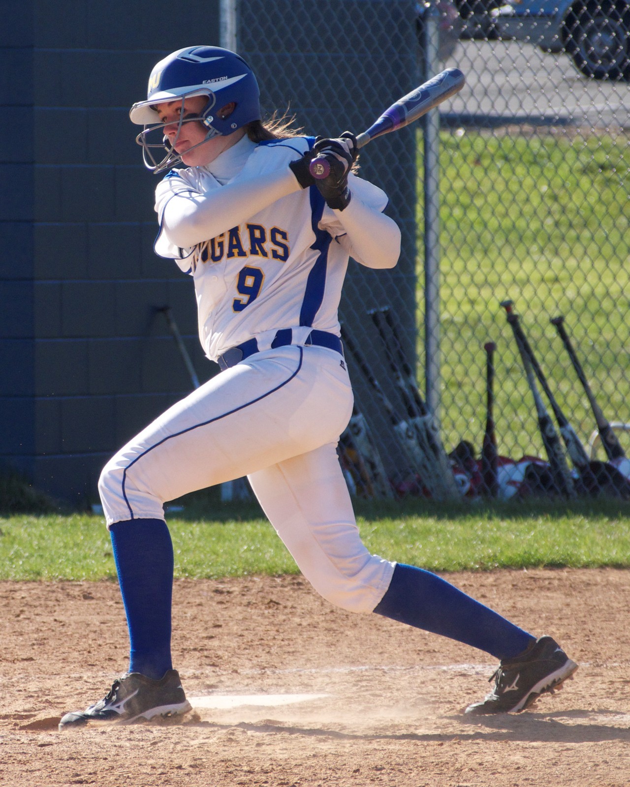 Megan Hardy - Softball - Misericordia University Athletics