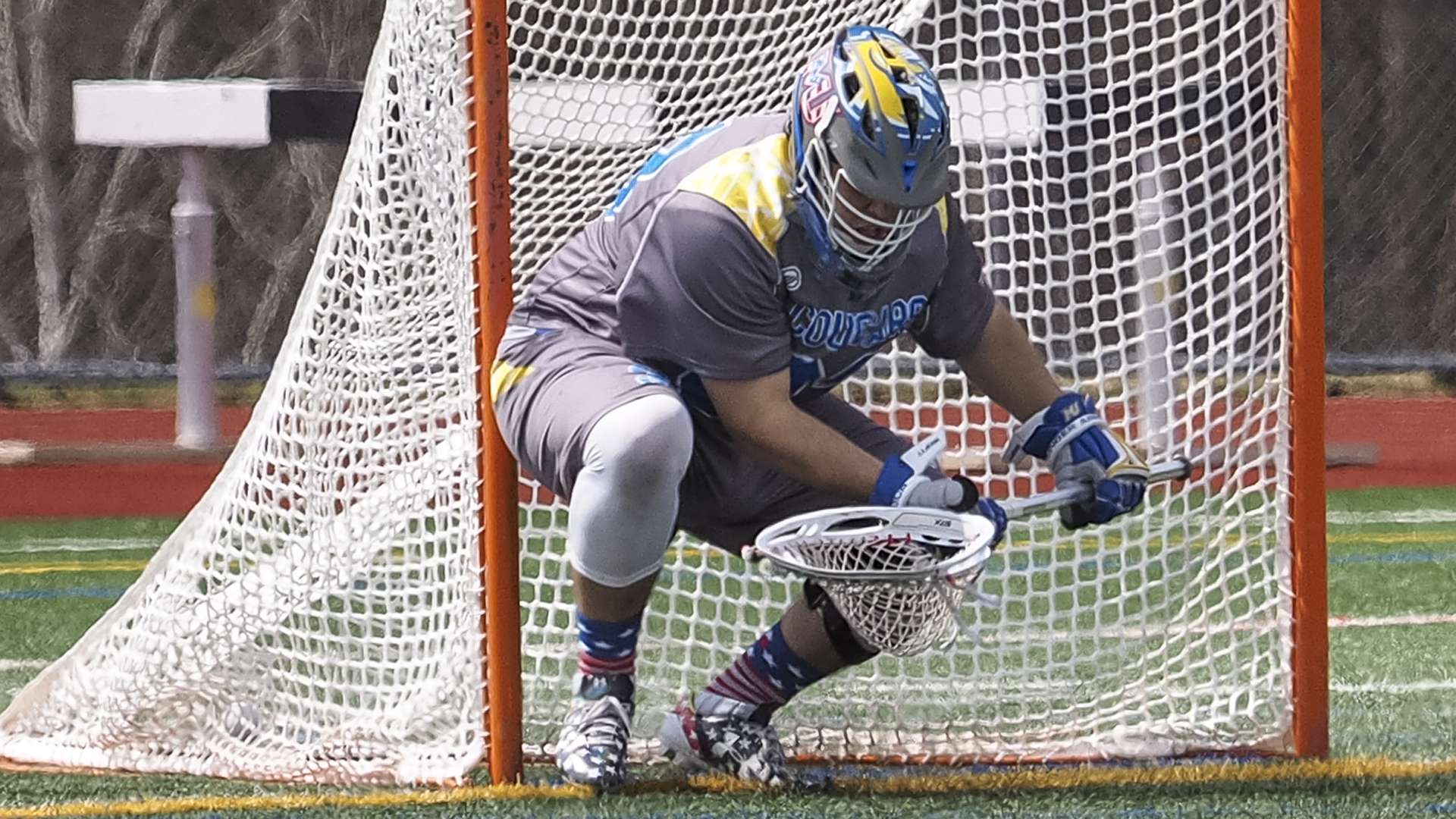 Matthew Beck - Men's Lacrosse - Misericordia University Athletics