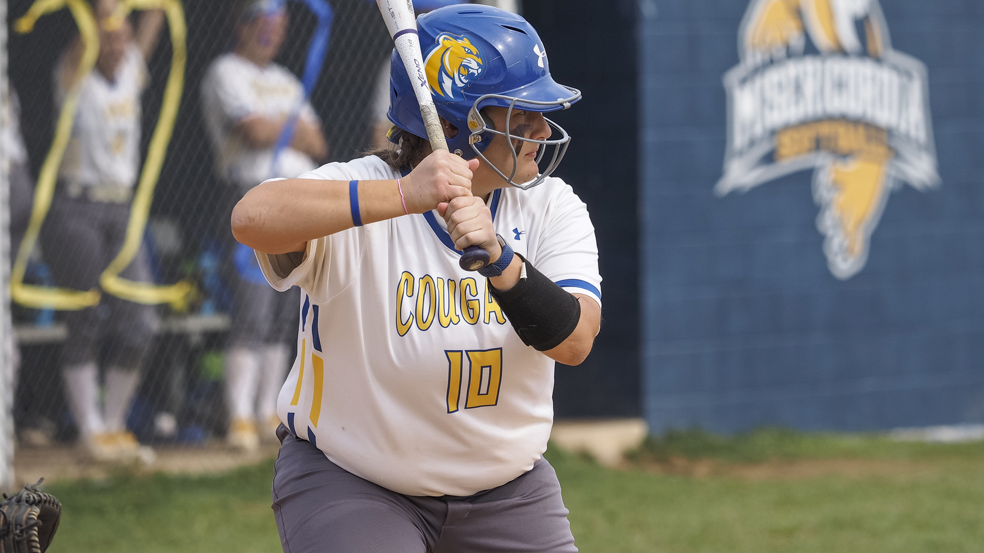 Lori Brennan - Softball - Misericordia University Athletics