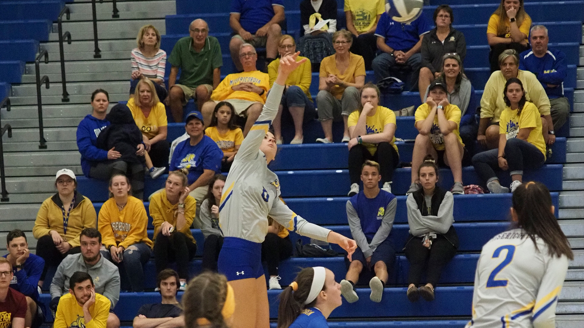 Stevens Volleyball Rallies Past MU - Misericordia University Athletics