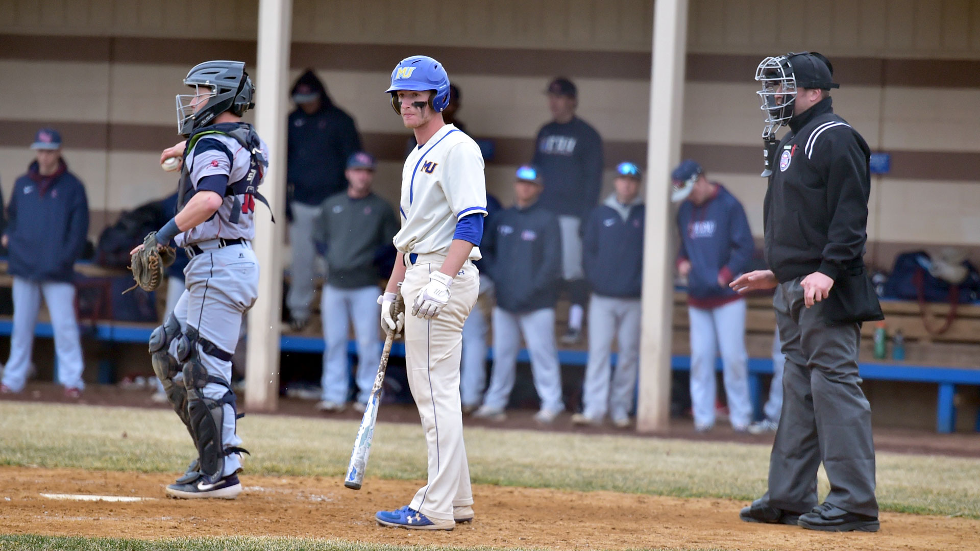 Sean Boylan - Baseball - Misericordia University Athletics