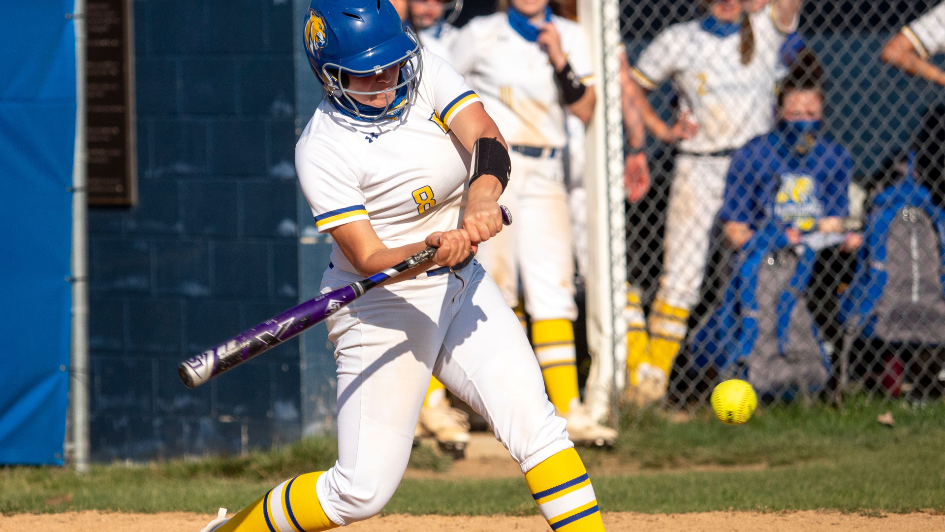 MU Softball Sweeps at Albright - Misericordia University Athletics