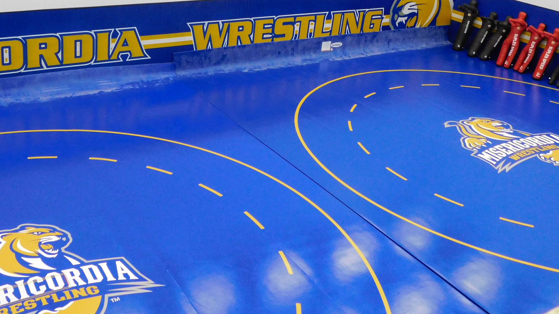 Patrick Defoe Named Misericordia Women's Wrestling Coach - Misericordia ...