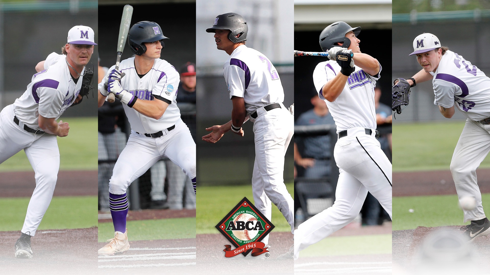 Baseball: Purple Raiders Set to Host 2025 OAC Tournament - University ...