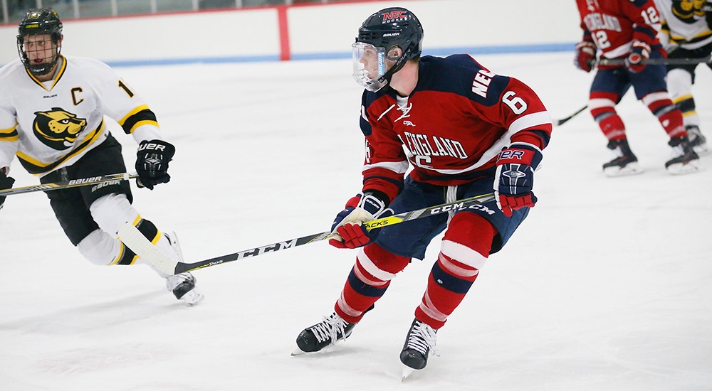 Connor Fries - 2018-19 - Men's Ice Hockey - New England College