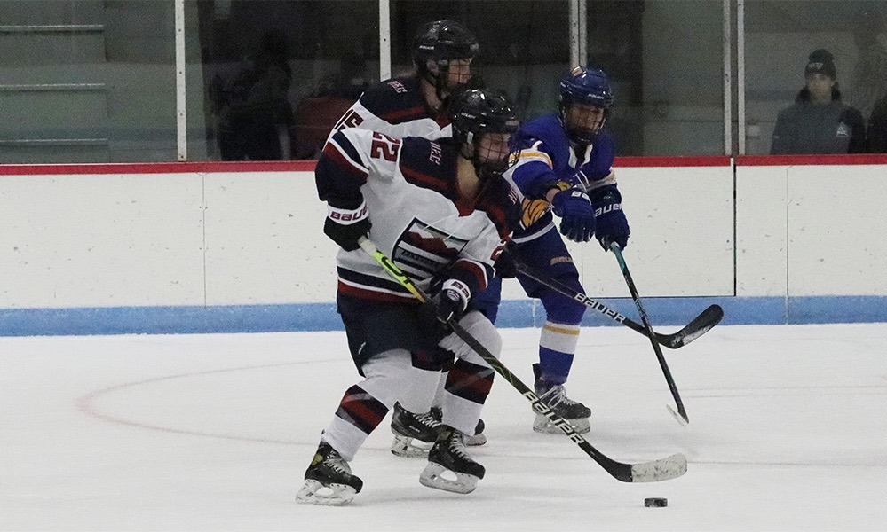 Women’s Ice Hockey Falls in OT to Lancers - New England College