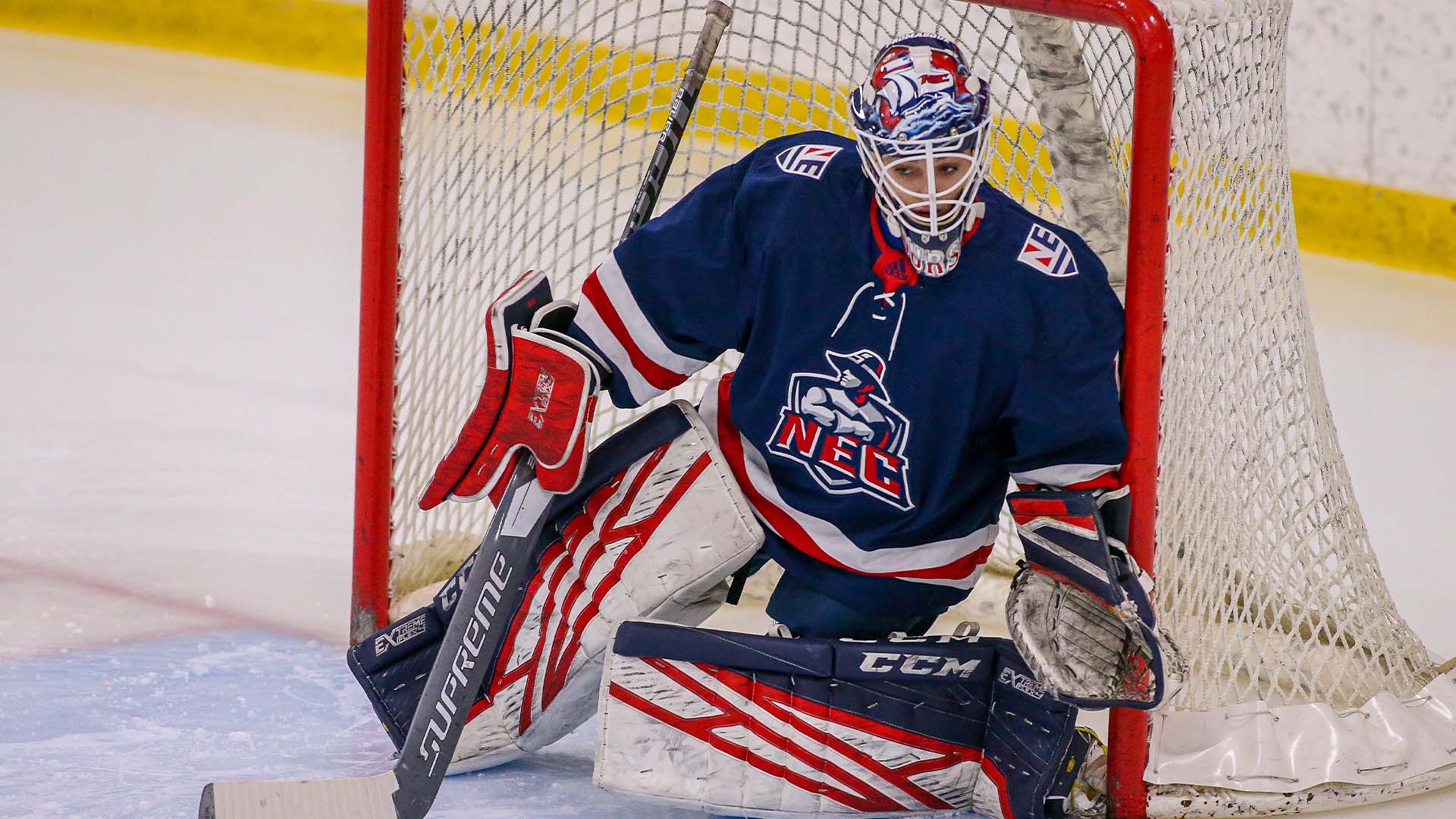 Sean D'urso - 2023-24 - Women's Ice Hockey - New England College