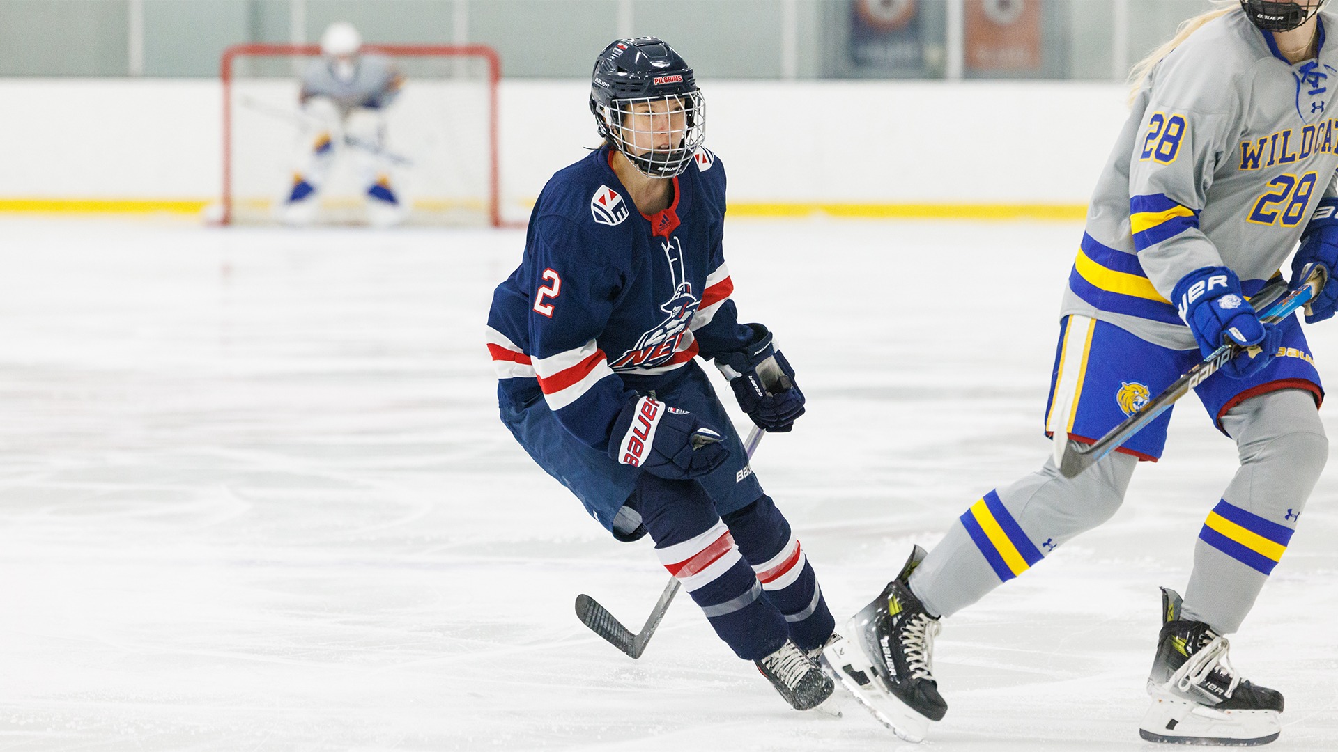 Castleton Too Much for Women’s Ice Hockey - New England College