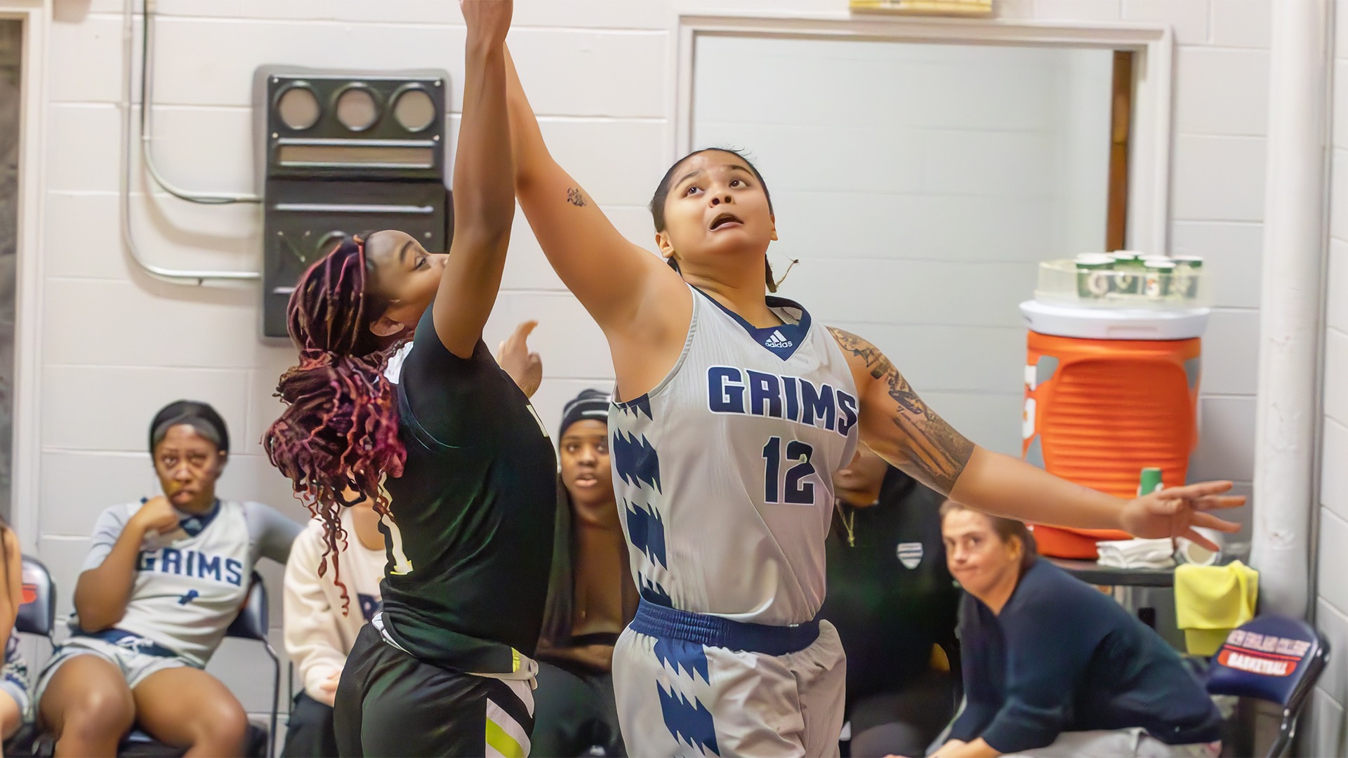 Lara Matias - 2023-24 - Women's Basketball - New England College