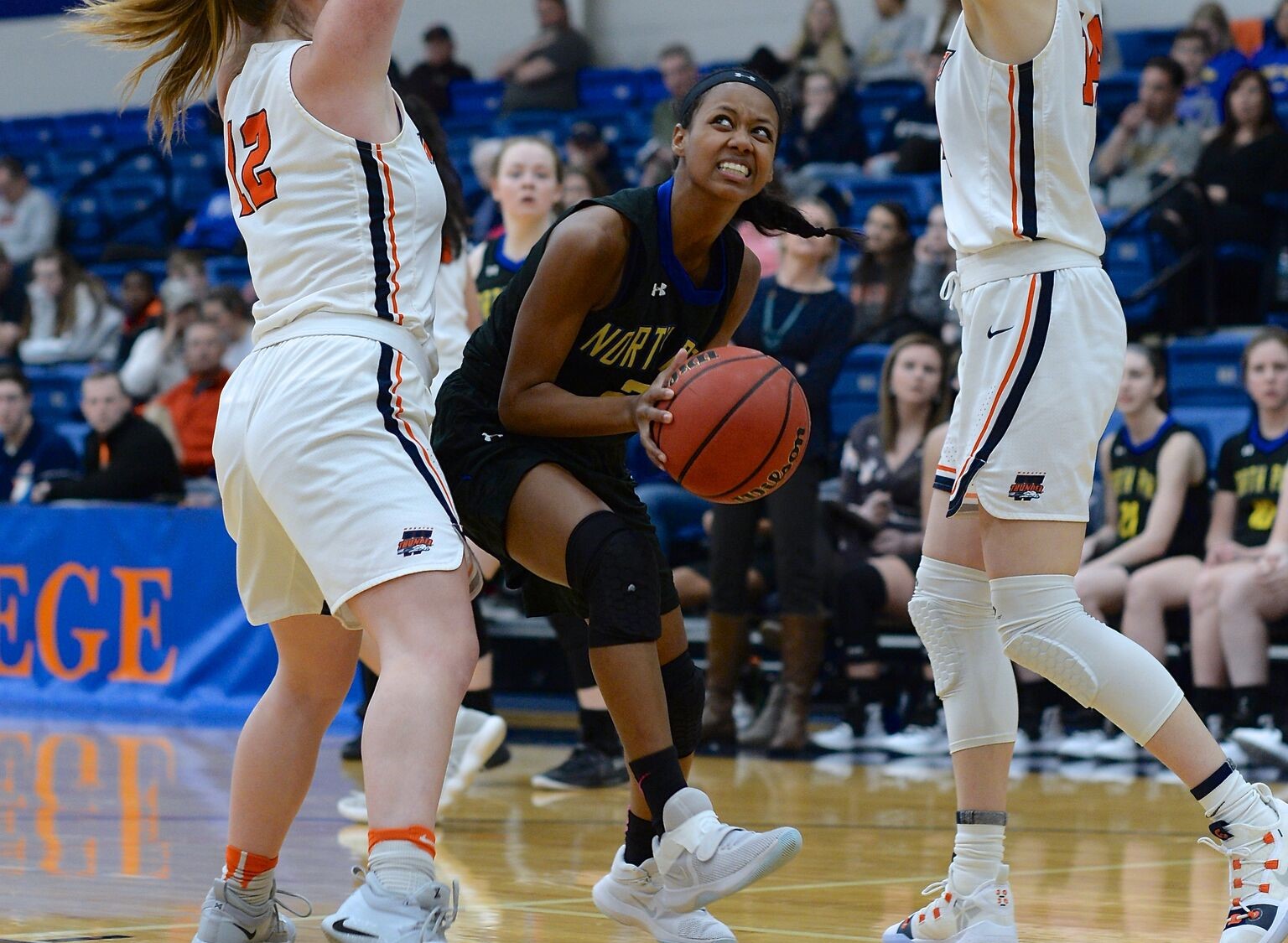 Kayla Patterson - Women's Basketball - North Park University Athletics