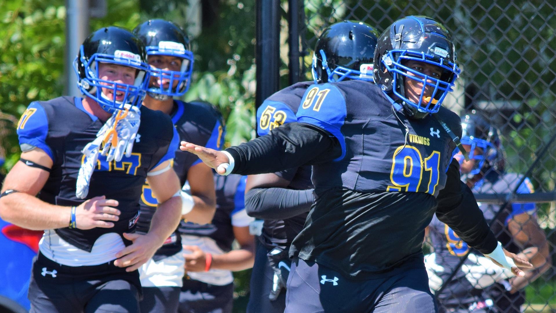 Harold Alexander - Football - North Park University Athletics