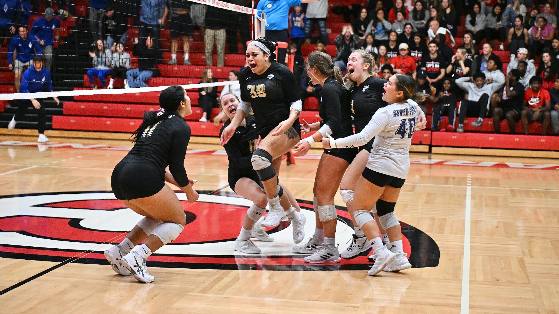 Viking Volleyball Brings Home the Gold, Wins First-Ever CCIW Tournament ...