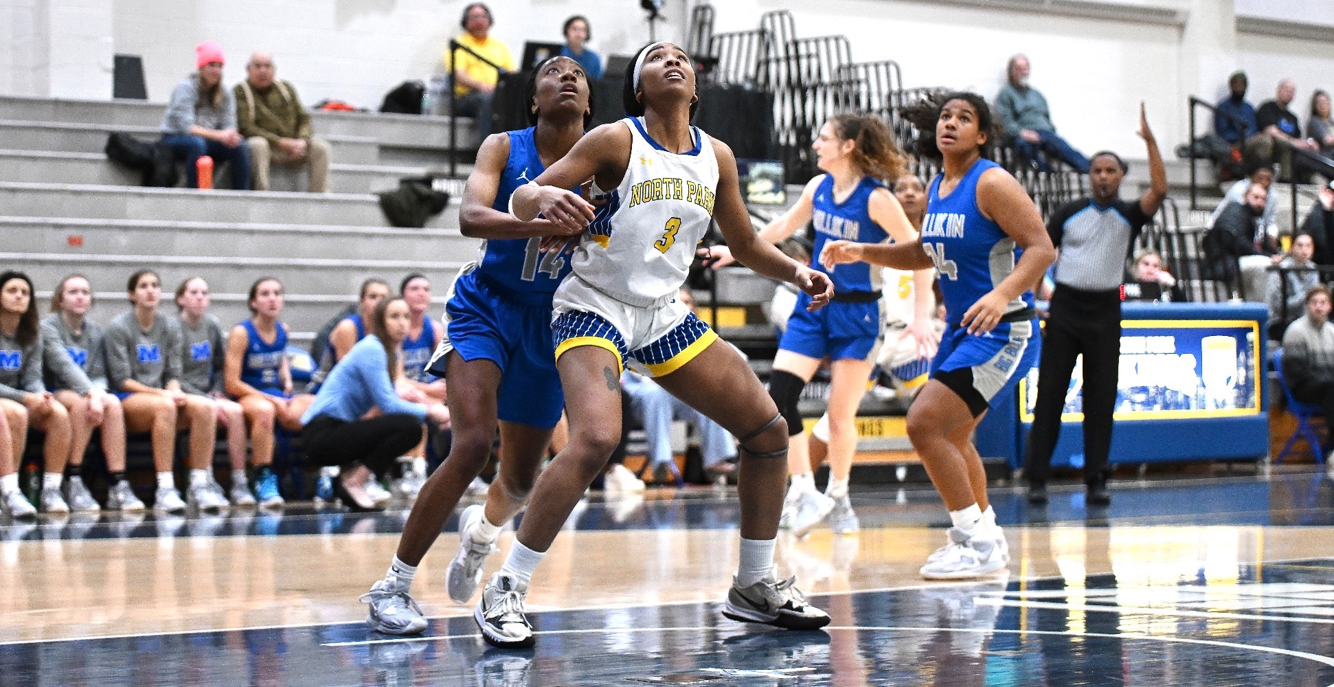 Chantel Hairston - Women's Basketball - North Park University Athletics