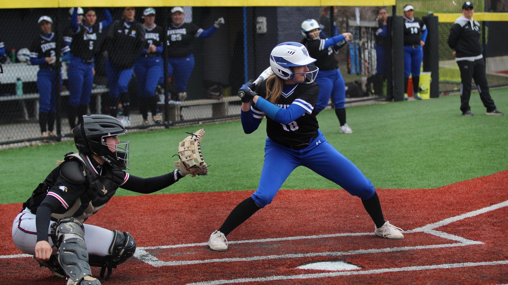 Debbie Dinkel - Softball - North Park University Athletics