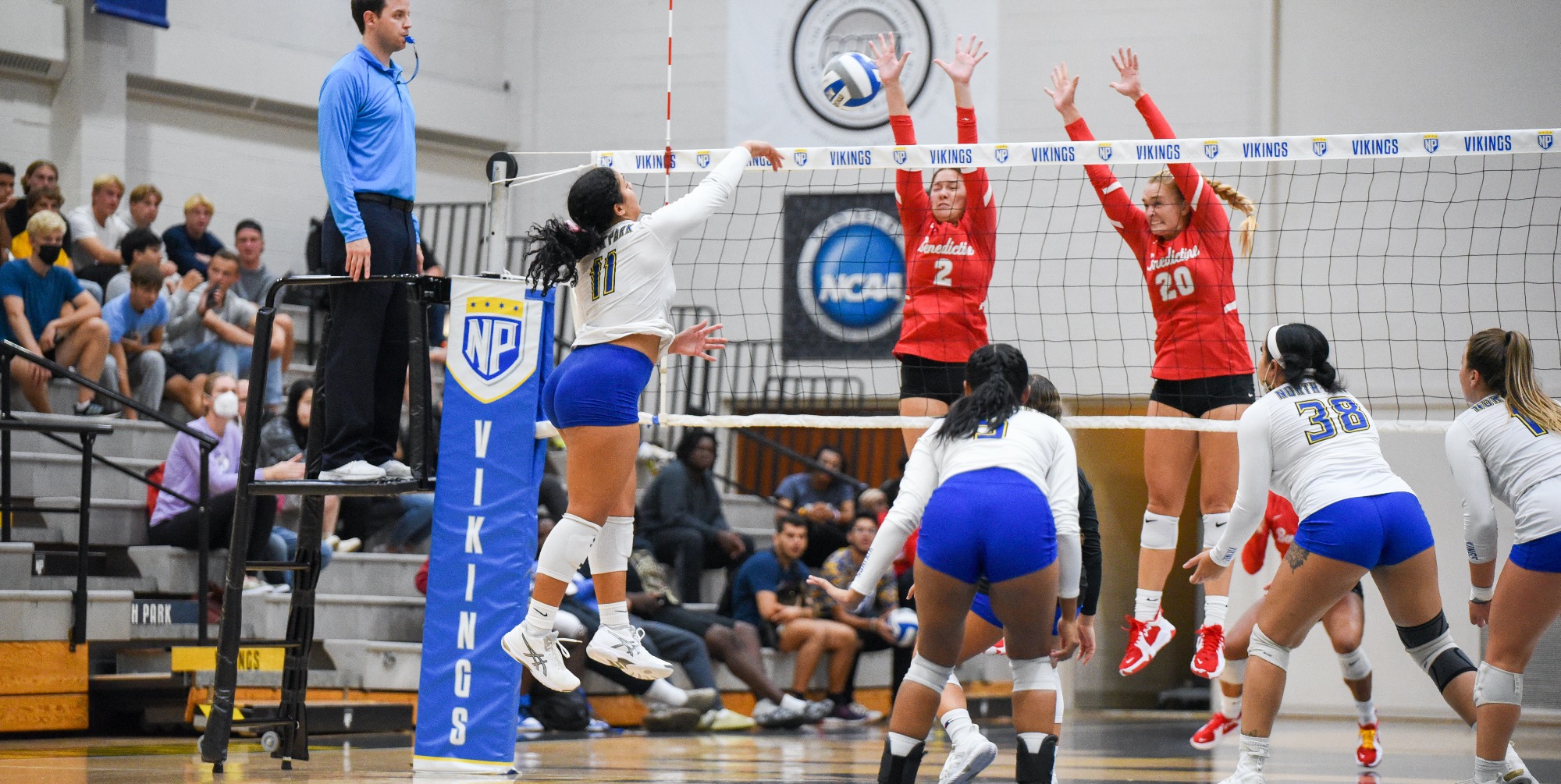 Viking Volleyball Makes Waves in Calvin Tournament - North Park ...