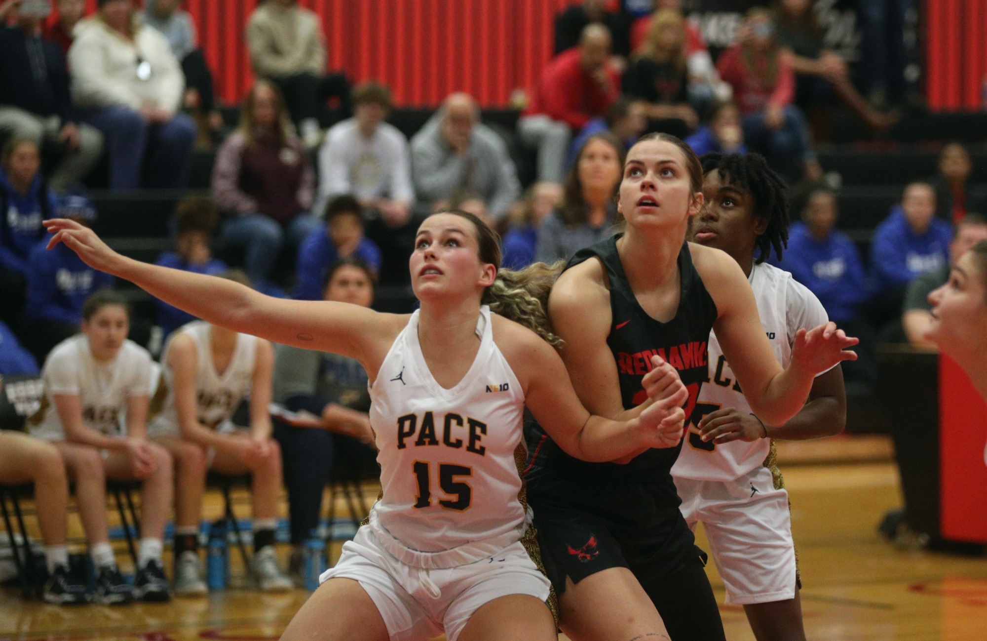 Michela Contestabile - Women's Basketball - Roberts Wesleyan University ...
