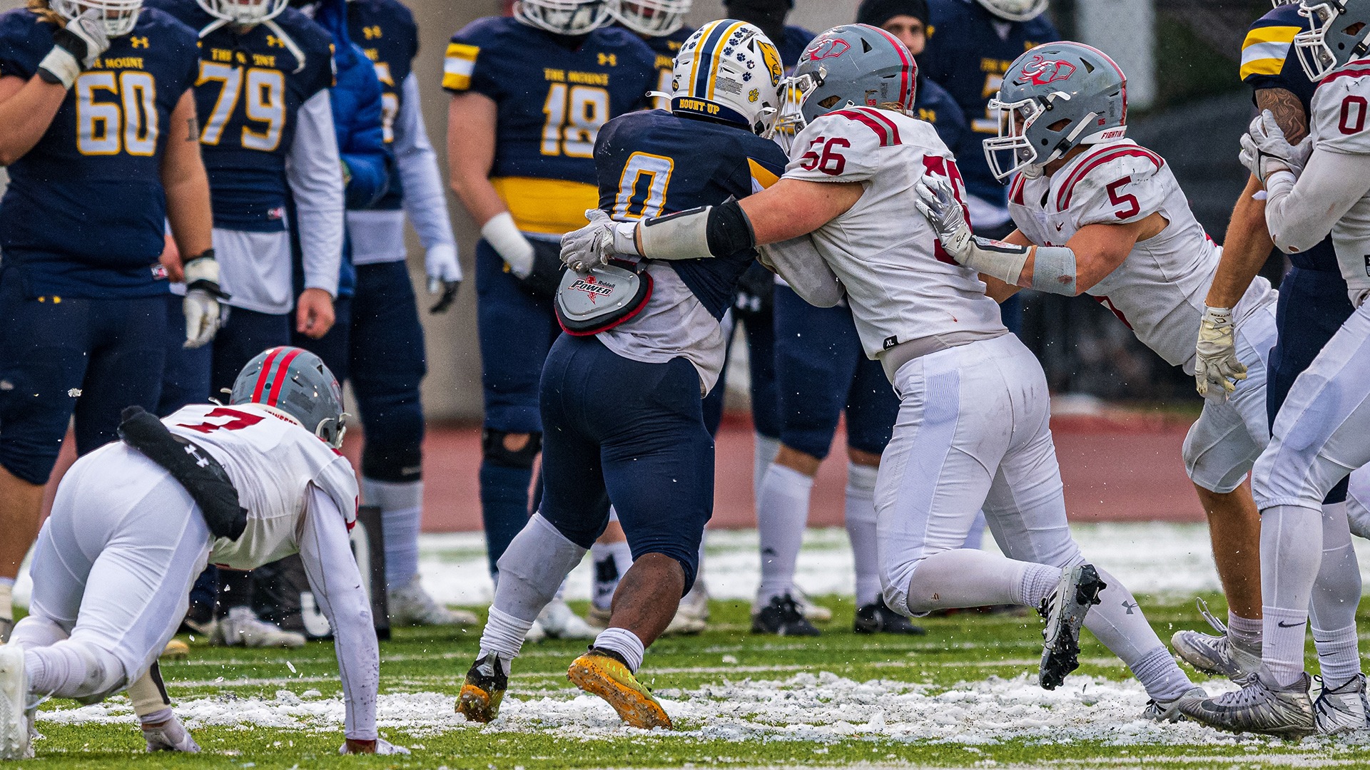 Peter Cross - 2022 - Football - Rose-Hulman Institute of Technology