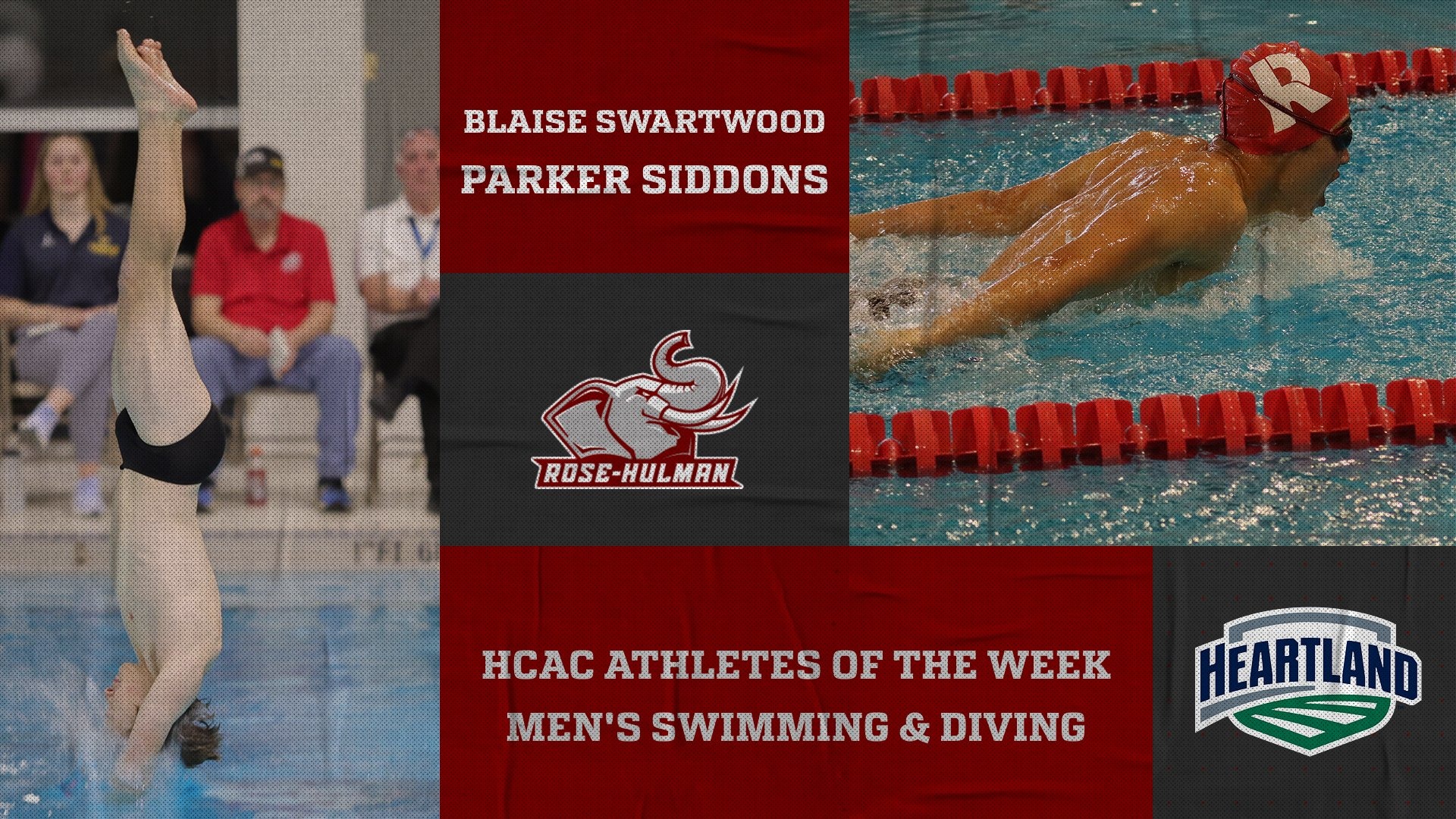Men's Swimming & Diving Wins Fifth Consecutive HCAC Championship - Rose ...