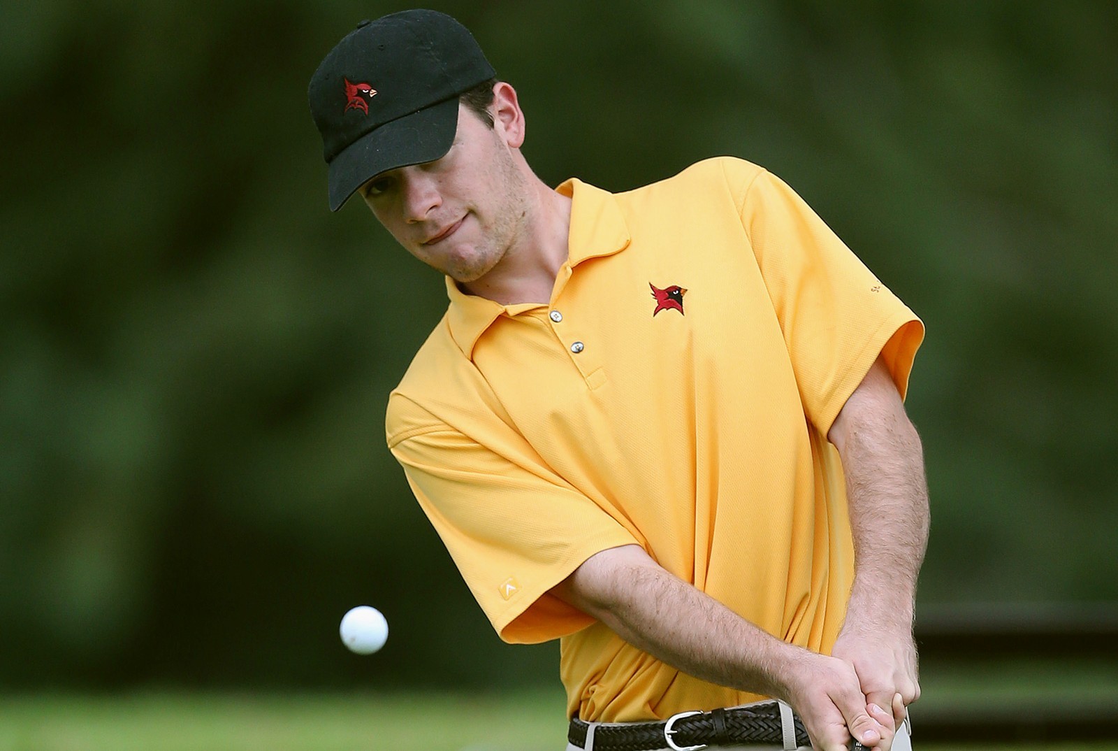 Nicholas Calabrese - Men's Golf - St. John Fisher University Athletics