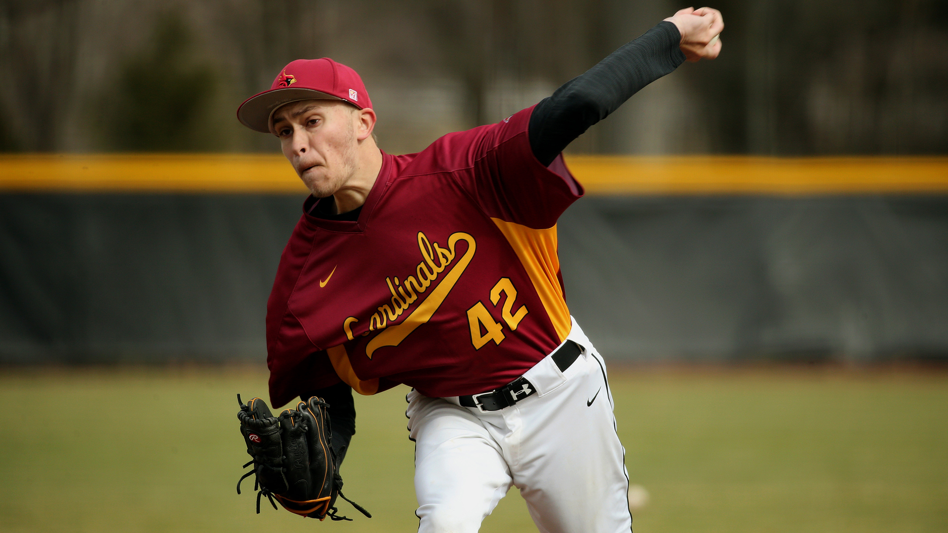 Tim Geissel - Baseball - St. John Fisher University Athletics