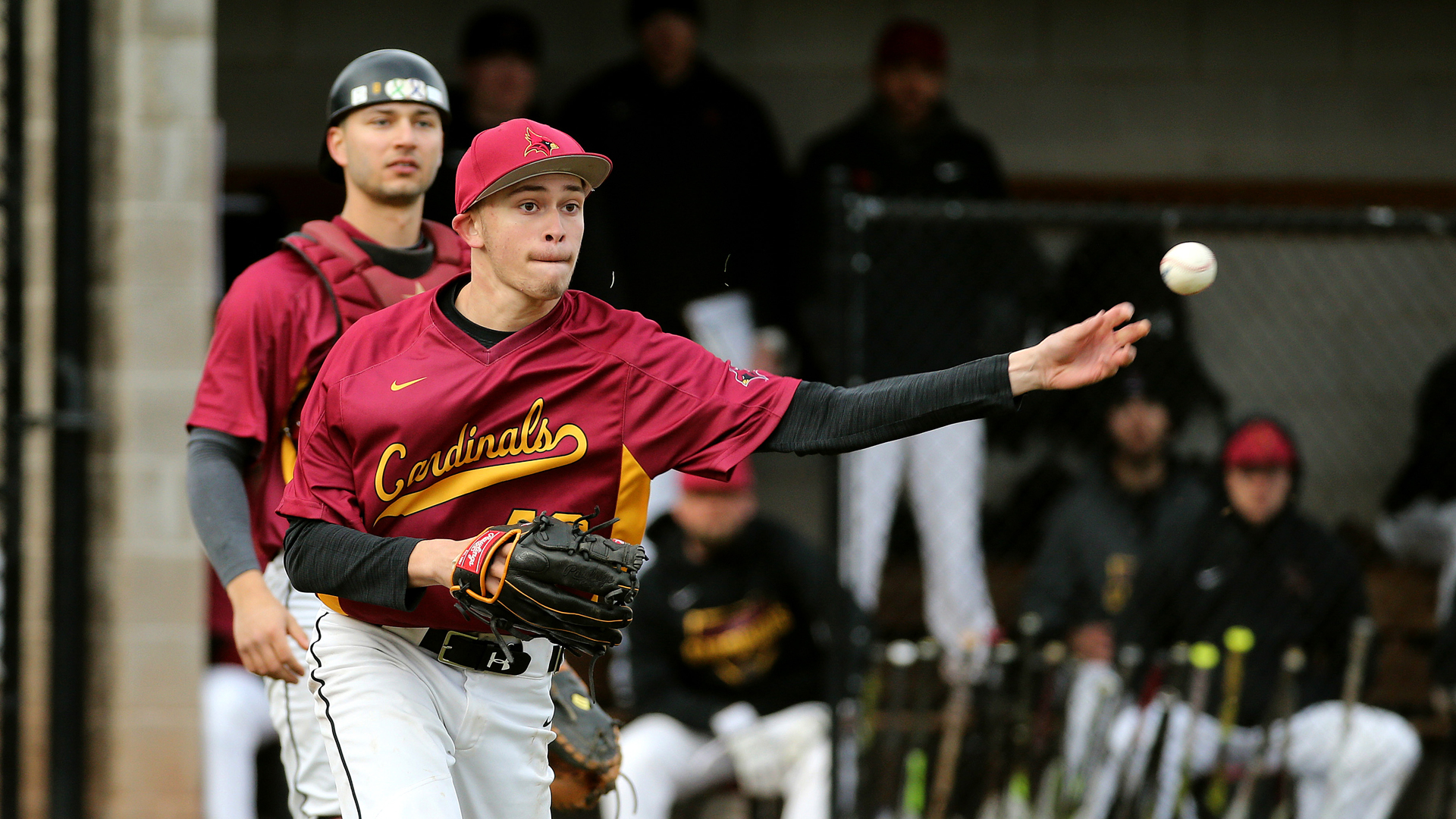 Tim Geissel - Baseball - St. John Fisher University Athletics