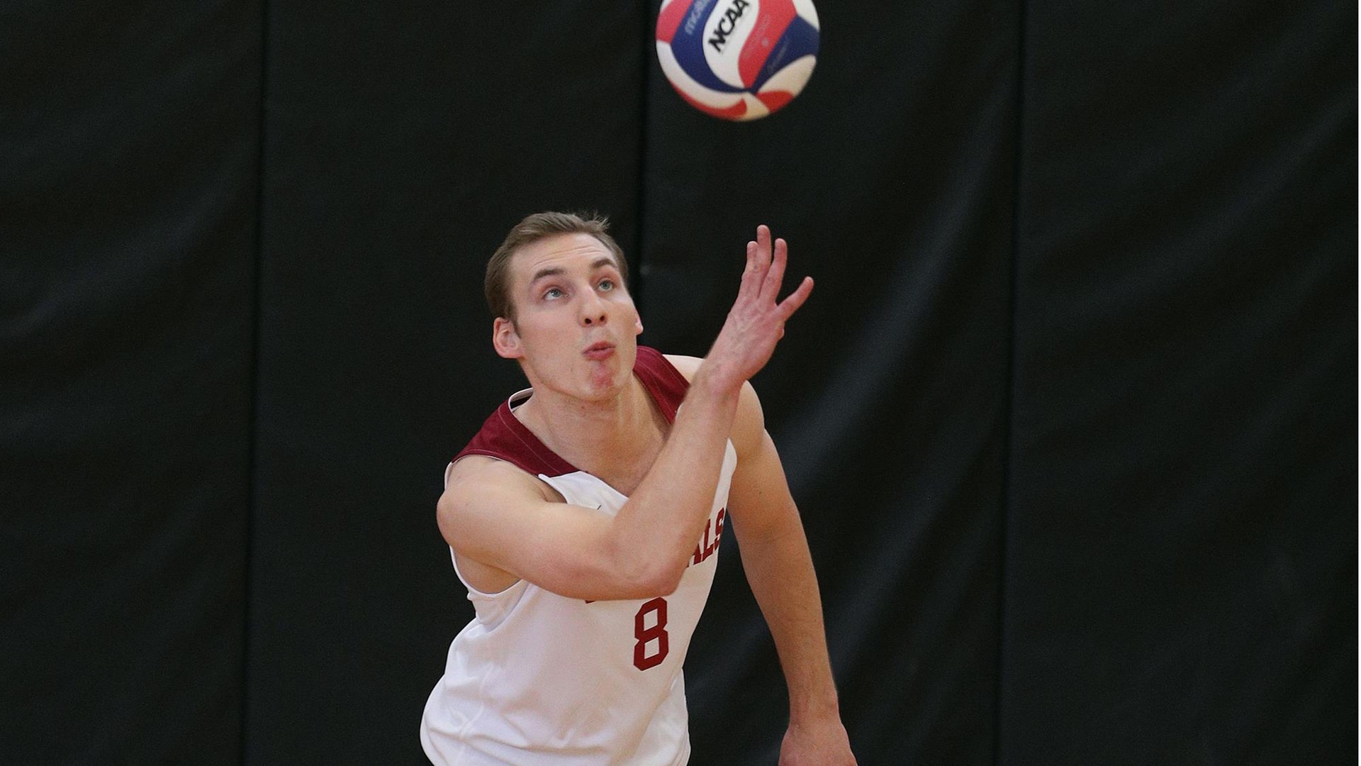 Avery Terroso - Men's Volleyball - St. John Fisher University Athletics