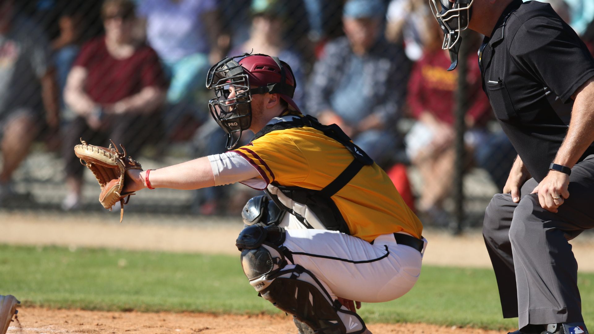 Michael Beimel - Baseball - St. John Fisher University Athletics