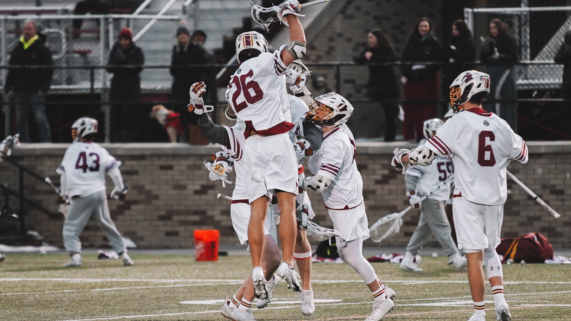 Domenic Delvecchio - Men's Lacrosse - St. John Fisher University Athletics