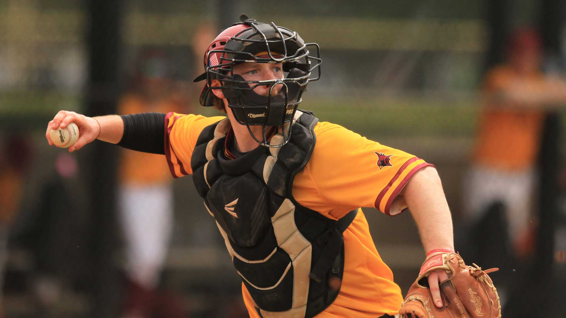 Michael Beimel - Baseball - St. John Fisher University Athletics