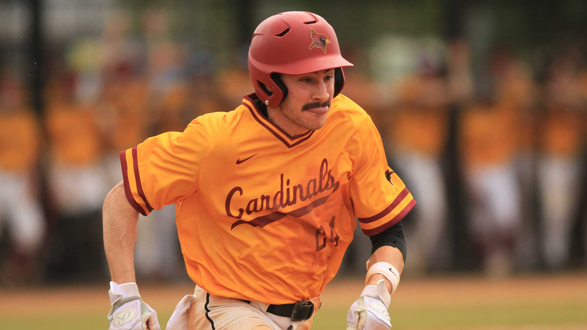 Patrick Kravitz - Baseball - St. John Fisher University Athletics