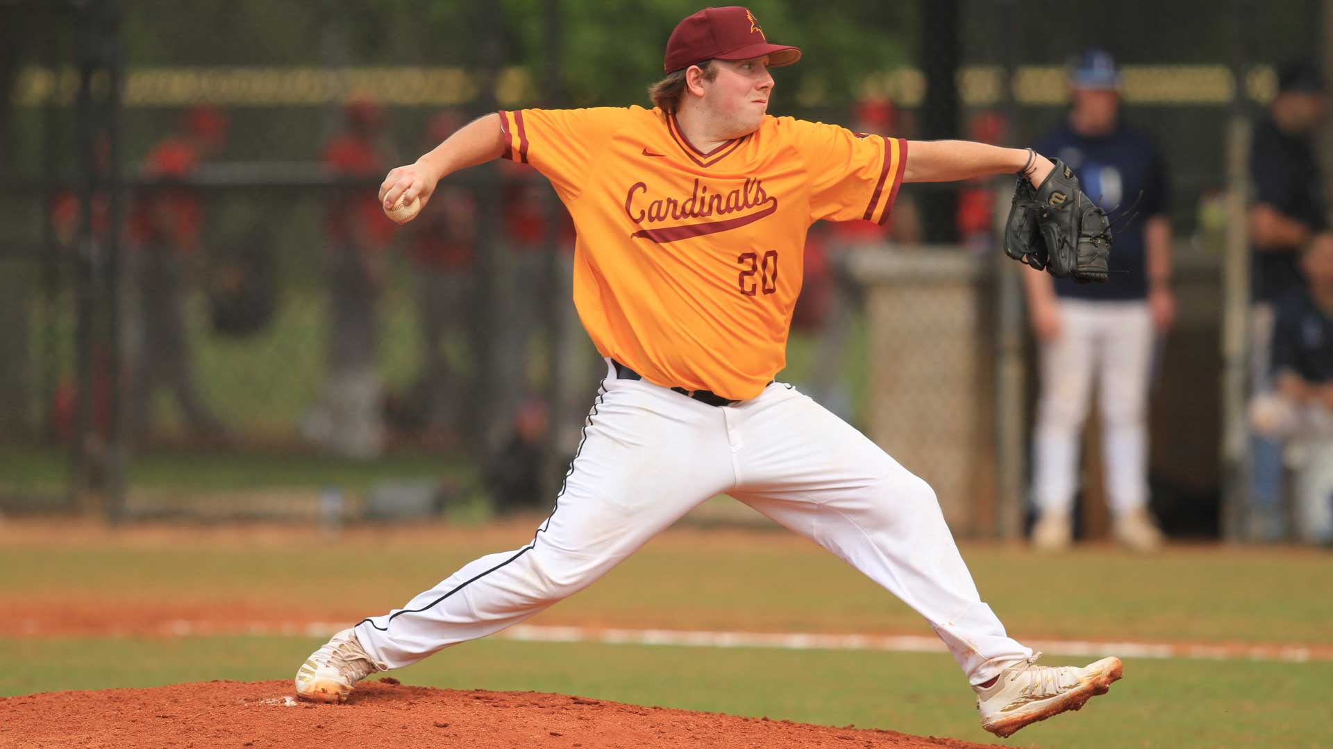 Christian Maloney - Baseball - St. John Fisher University Athletics