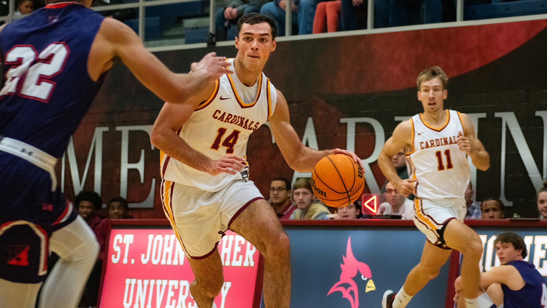Daniel Cook - Men's Basketball - St. John Fisher University Athletics