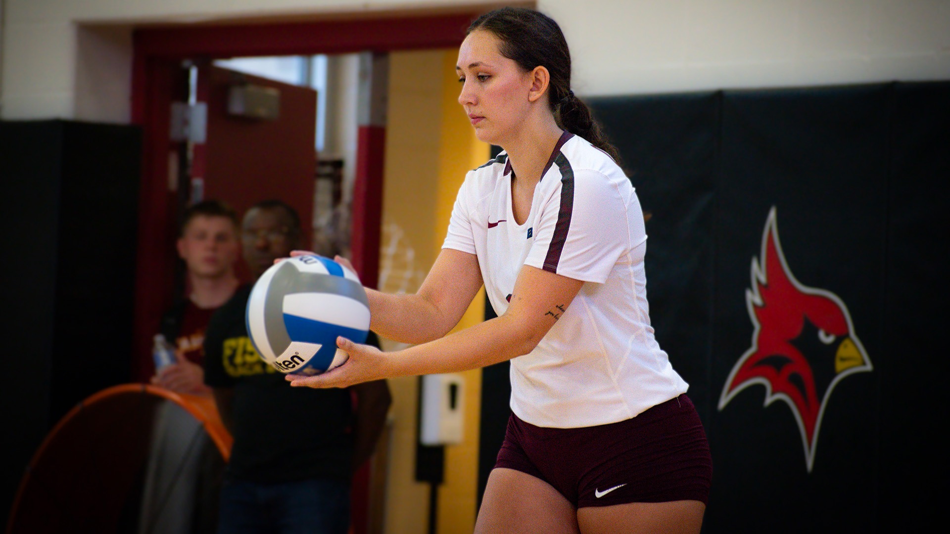 Brooke Segars - Women's Volleyball - St. John Fisher University Athletics