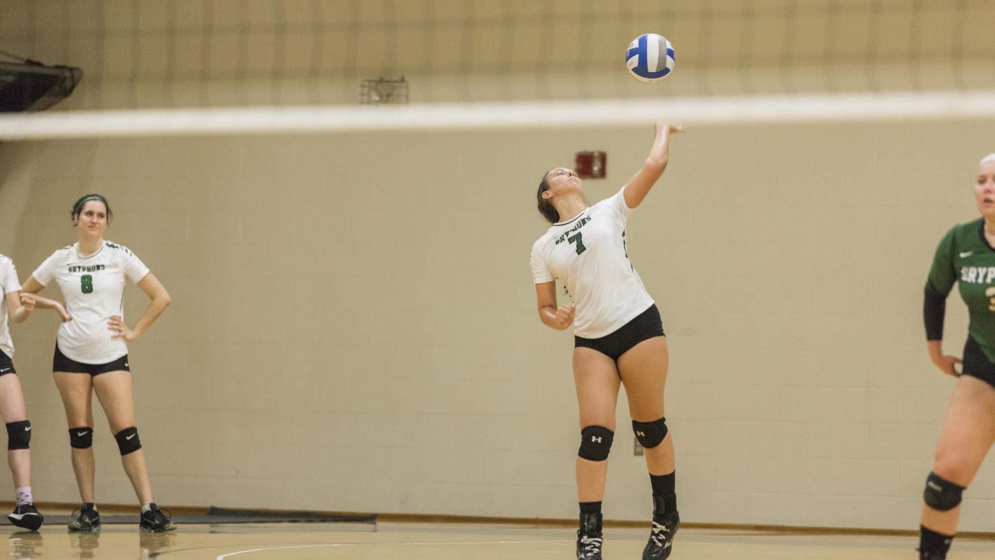 Camryn Sanchez - Women's Volleyball - Sarah Lawrence College Athletics