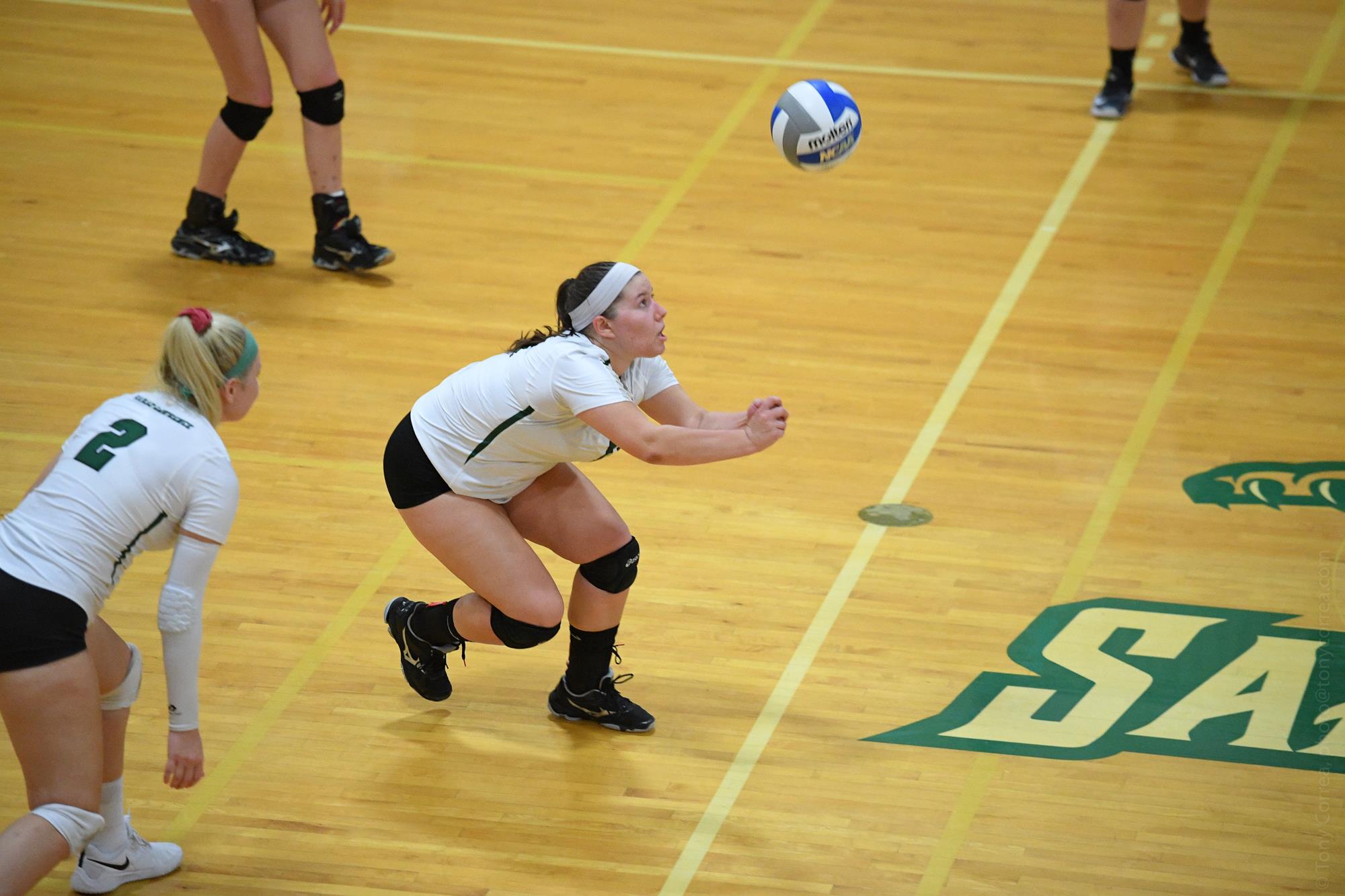 Lauren Kilroy - Women's Volleyball - Sarah Lawrence College Athletics