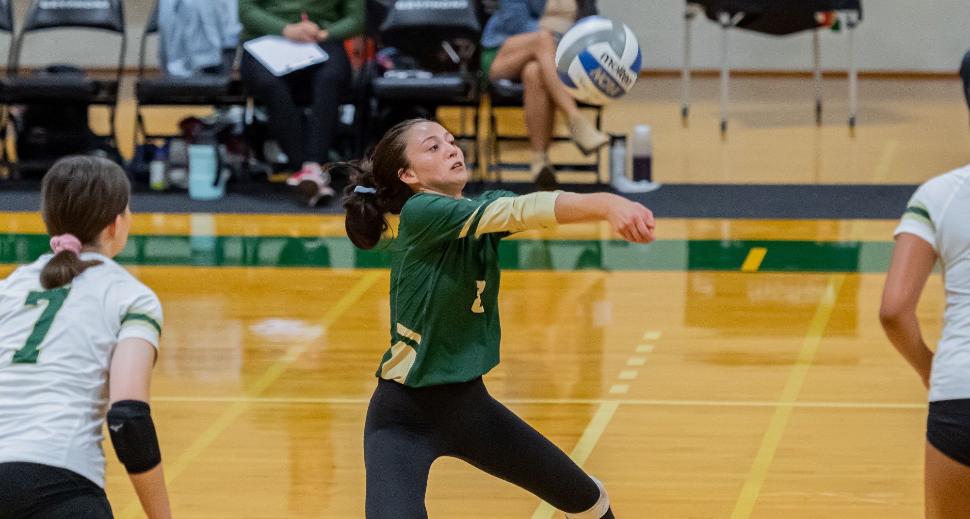 Ferguson leads Women's Volleyball in Match Against St. Joseph's - Sarah ...