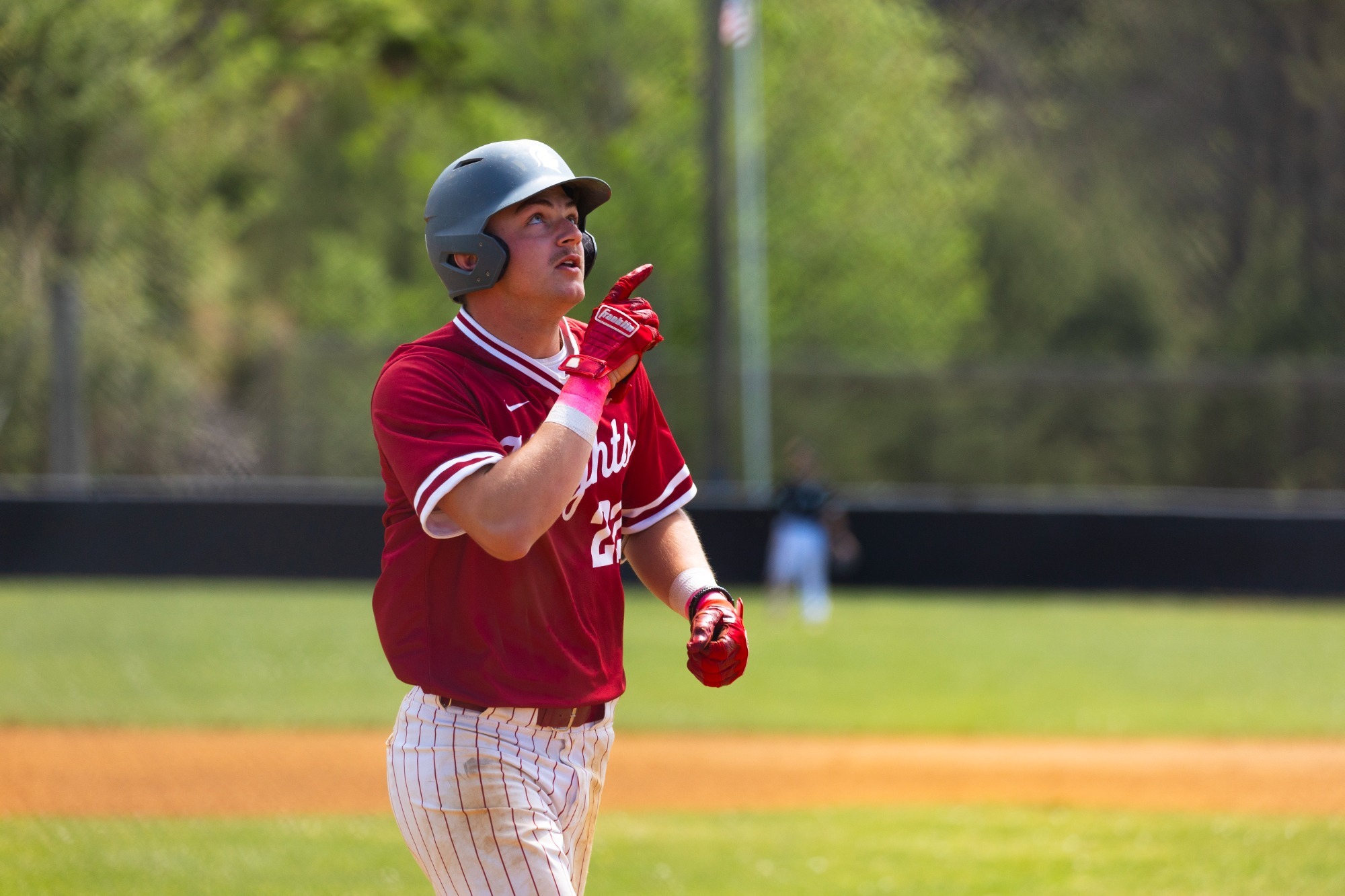 Dryden Announces Capital Campaign for New Baseball Complex - Southern ...