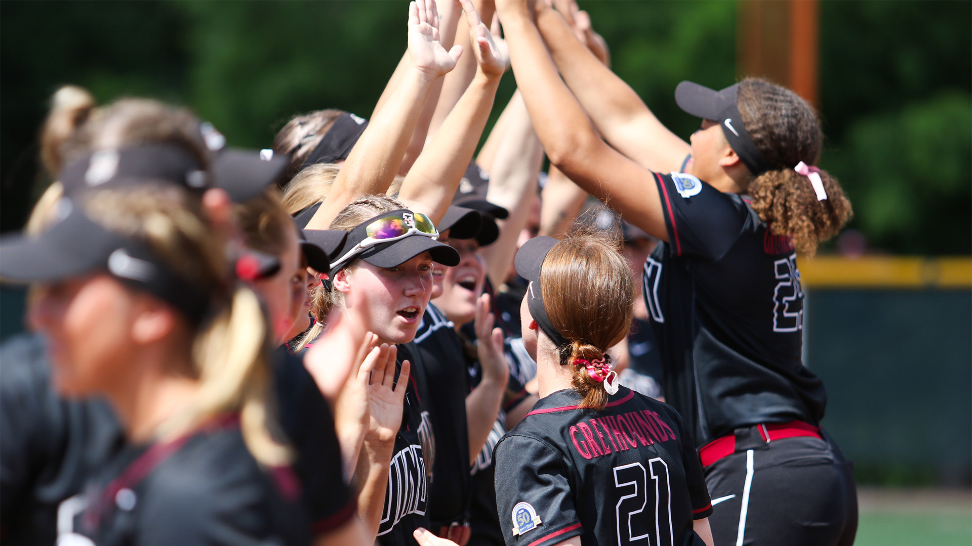 Softball Camp Registration Opens - UIndy Athletics