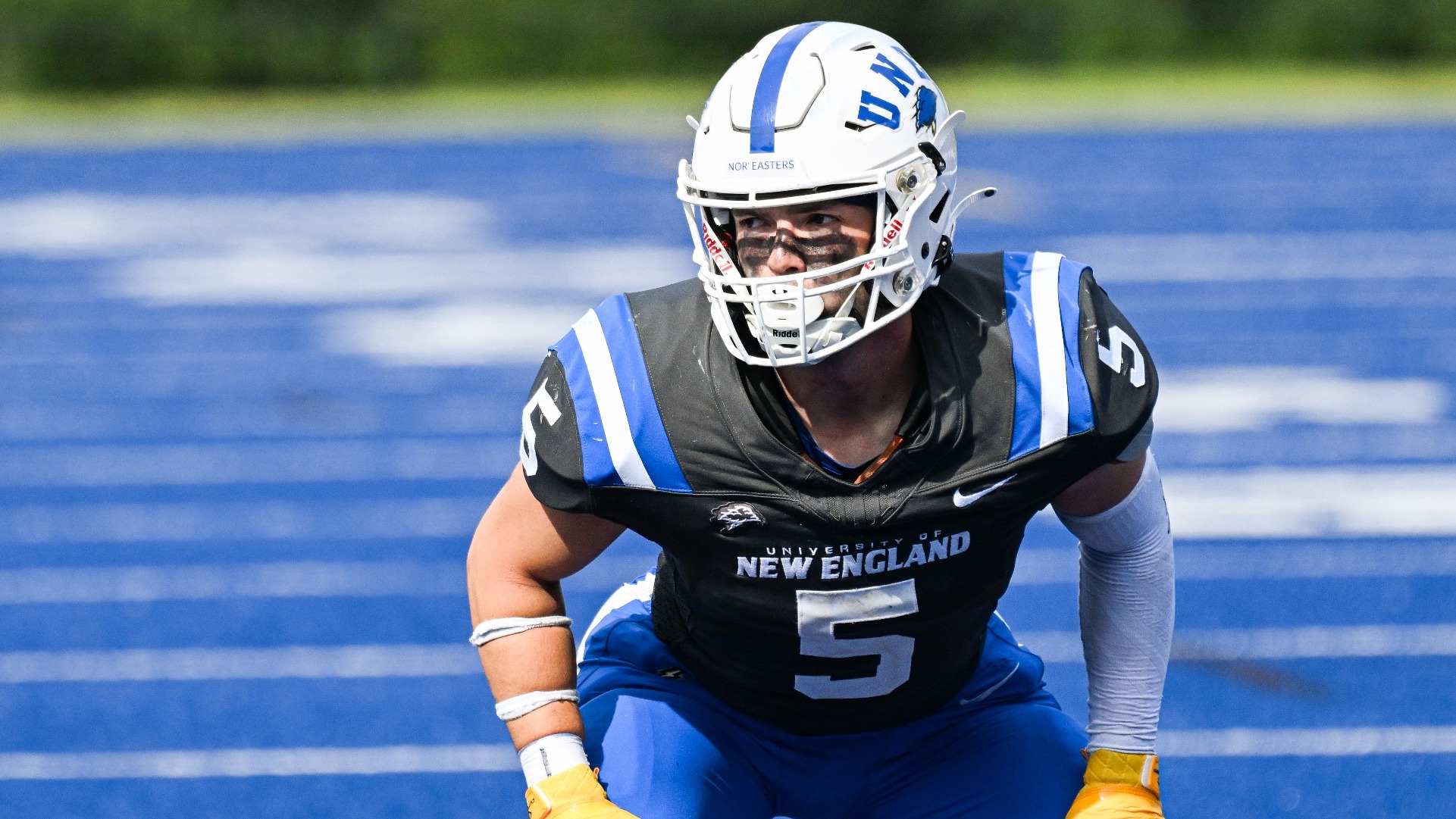 Ibbitson keys hard-fought 19-13 win over Curry - University of New ...